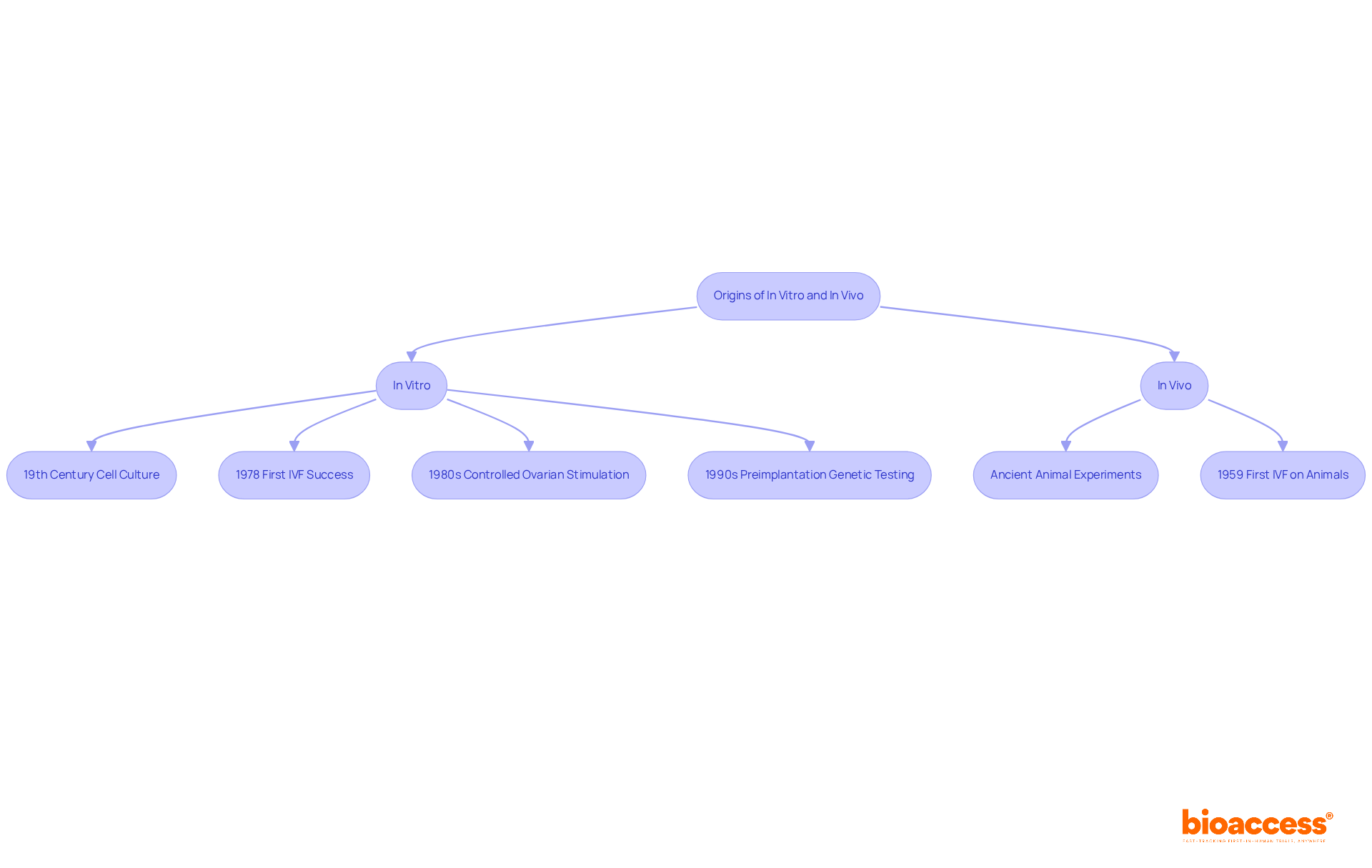 This flowchart shows the timeline of key developments in in vitro and in vivo methods. Follow the arrows to see how each event builds on the previous ones, highlighting the journey from early experiments to modern advancements.