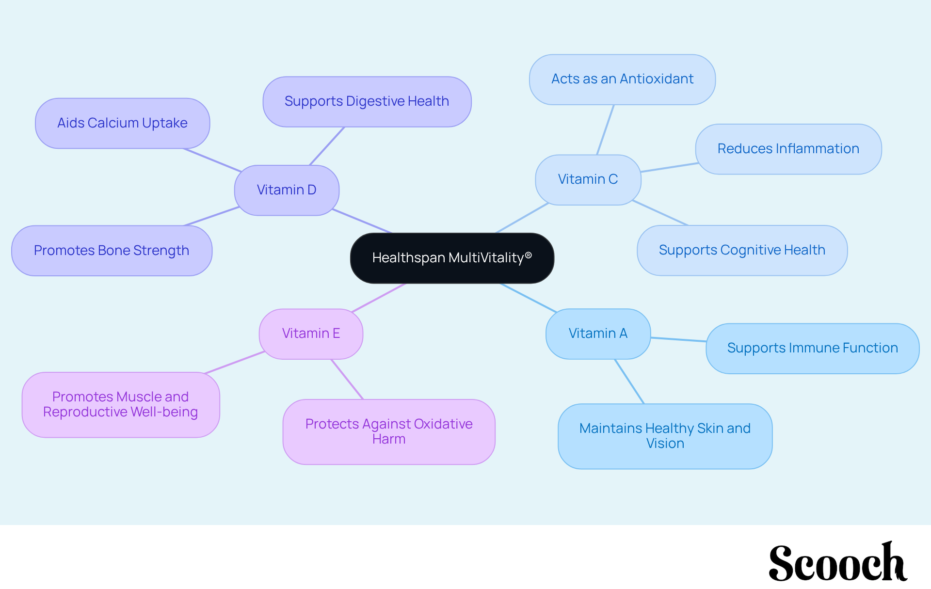 The central node represents the product, while the branches show the essential vitamins and their health benefits for dogs. Each color-coded branch helps you quickly identify the vitamin and its role in promoting your dog's well-being.