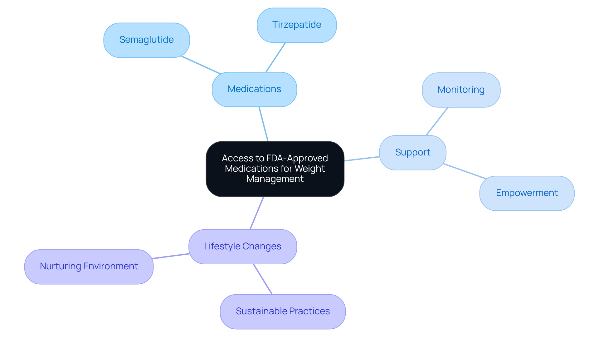 Start at the center with the main theme of medication access, then explore the branches to see the specific medications, the support provided, and how lifestyle changes play a role in your weight loss journey.