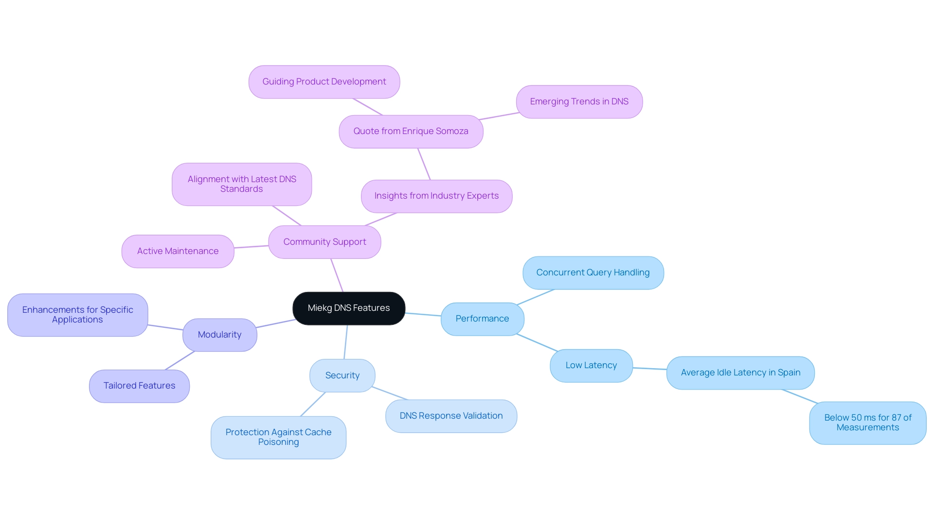 The central node represents the miekg DNS solution, with branches showing key features and their specific functionalities.