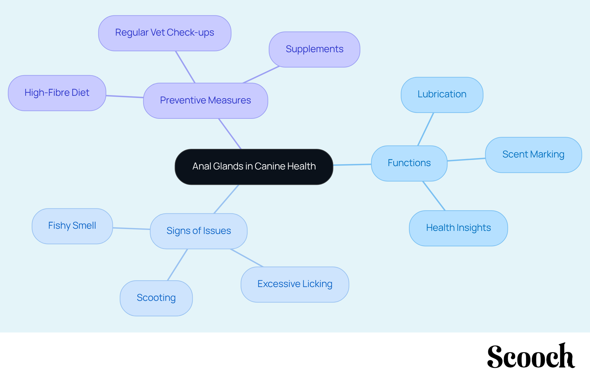 Where Are Anal Glands on a Dog? Understanding Their Role and Location