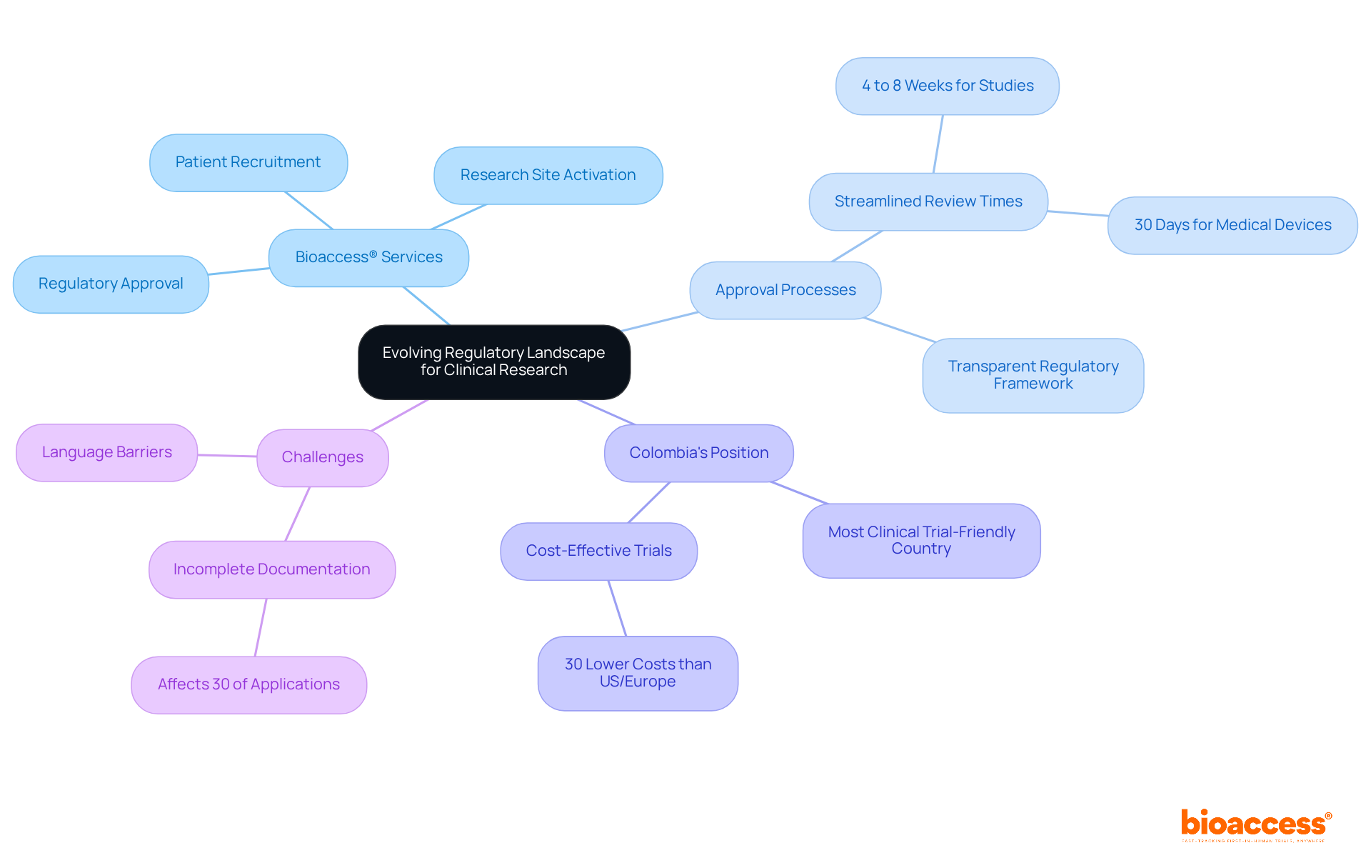 The center represents the main topic, while branches show related services and challenges. Each color-coded branch helps you quickly identify different aspects of the regulatory landscape.