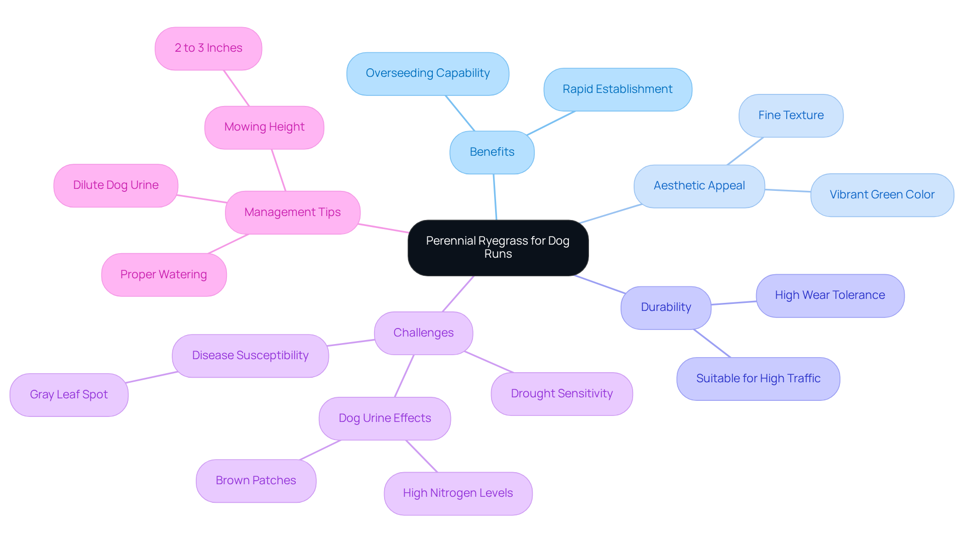 This mindmap starts with the main topic in the center and branches out to show the benefits and challenges of using Perennial Ryegrass for dog runs. Each branch represents a different aspect, making it easy to see how they connect and what to consider for maintaining a healthy lawn. This mindmap starts with the main topic in the center and branches out to show the benefits and challenges of using Perennial Ryegrass for dog runs. Each branch represents a different aspect, making it easy to see how they connect and what to consider for maintaining a healthy lawn.