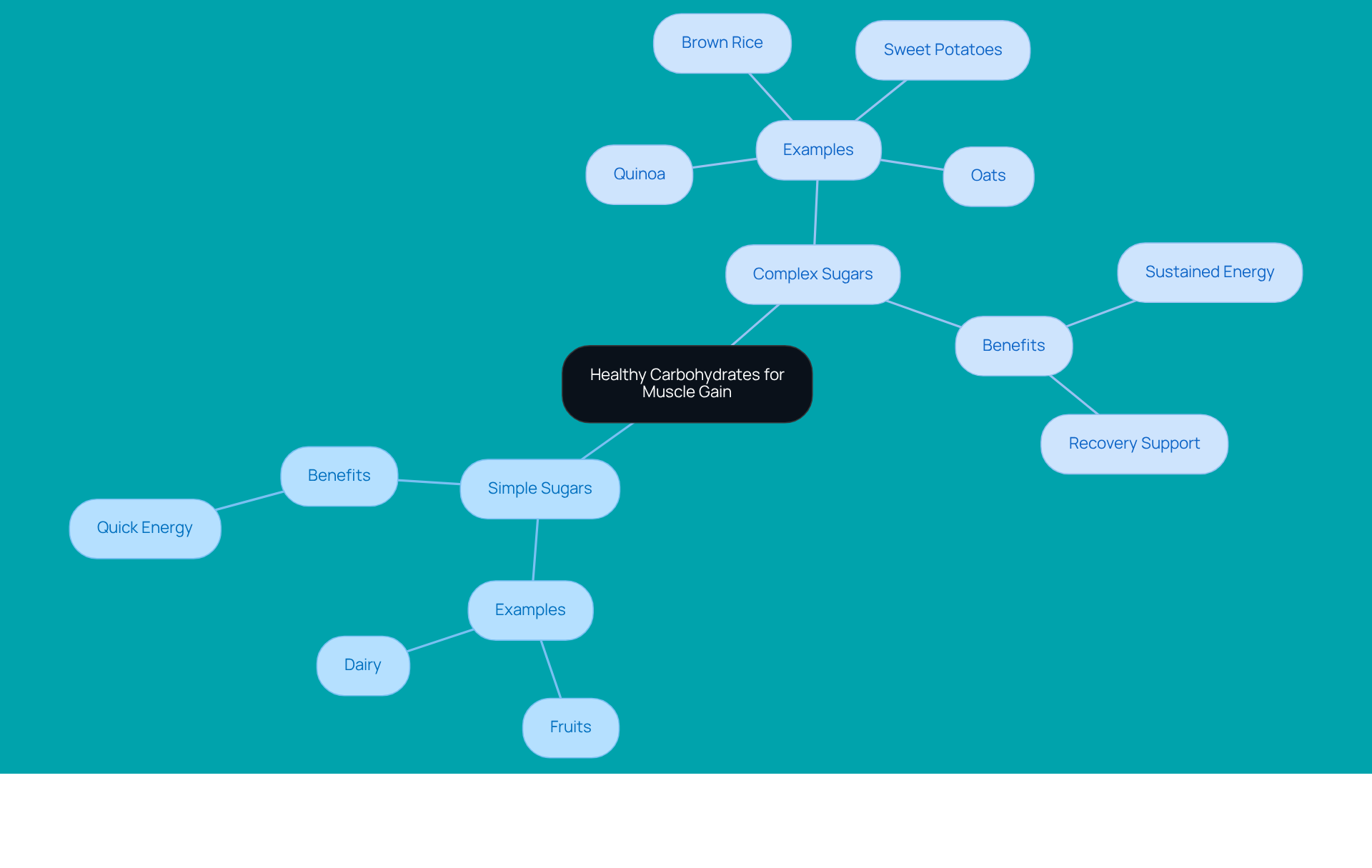 The central node represents the main topic, while the branches show different types of sugars and their benefits. Follow the branches to explore how each type contributes to muscle gain and recovery.