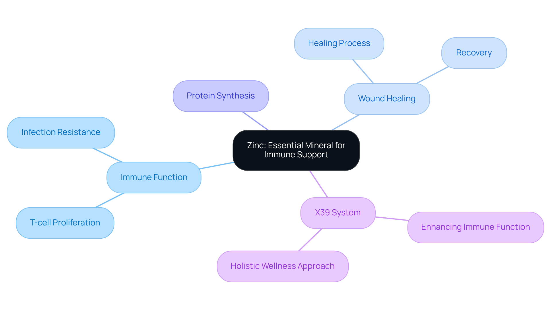 This mindmap illustrates how zinc contributes to various aspects of health. Start at the center with zinc's importance, then explore how it supports immune function, aids in wound healing, and fits into the X39 wellness system. Each branch represents a different benefit or aspect of zinc, helping you understand its comprehensive role in health. This mindmap illustrates how zinc contributes to various aspects of health. Start at the center with zinc's importance, then explore how it supports immune function, aids in wound healing, and fits into the X39 wellness system. Each branch represents a different benefit or aspect of zinc, helping you understand its comprehensive role in health.