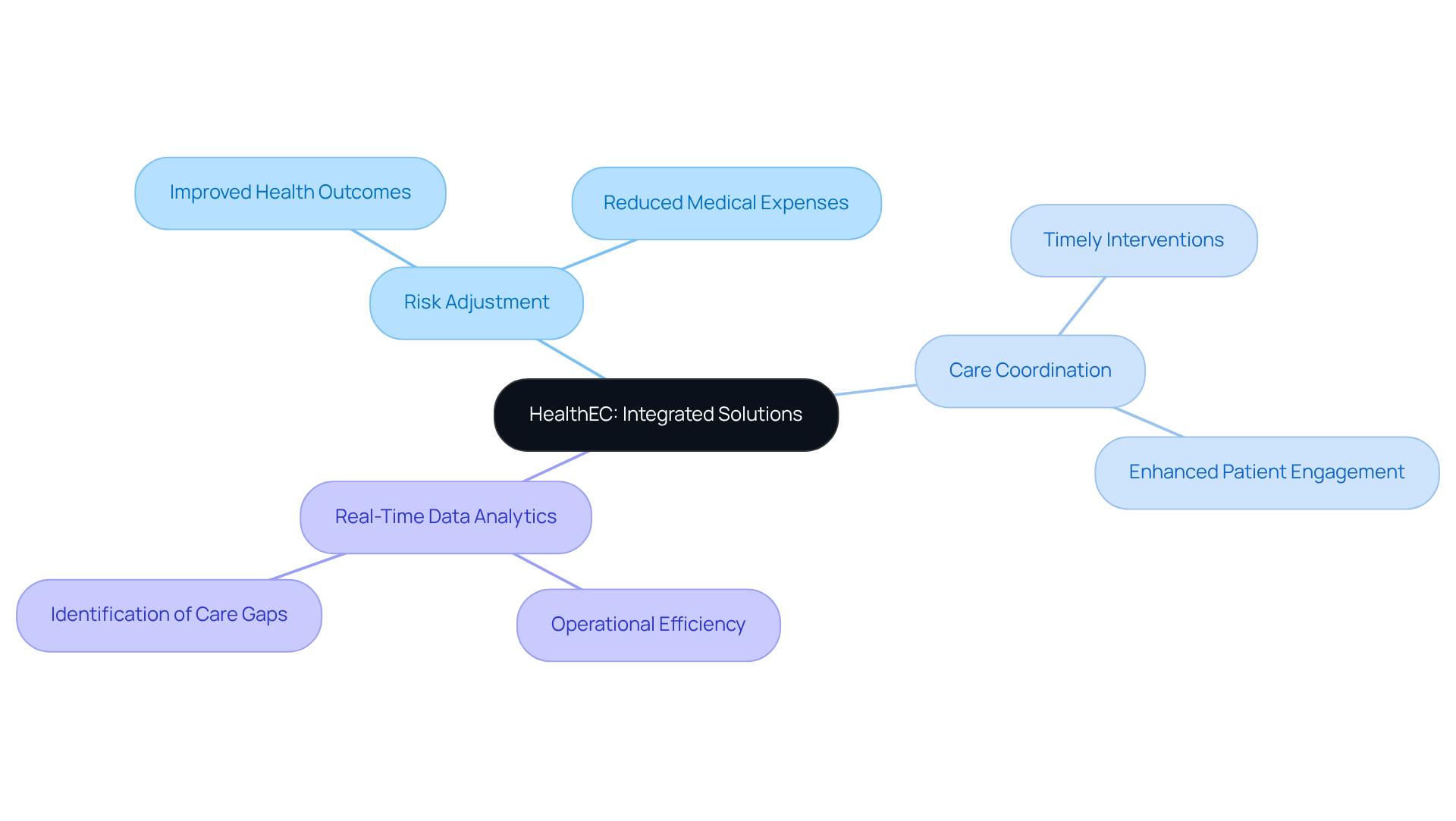 The central node represents HealthEC's solutions, while the branches show how different aspects like risk adjustment and analytics contribute to better healthcare management.