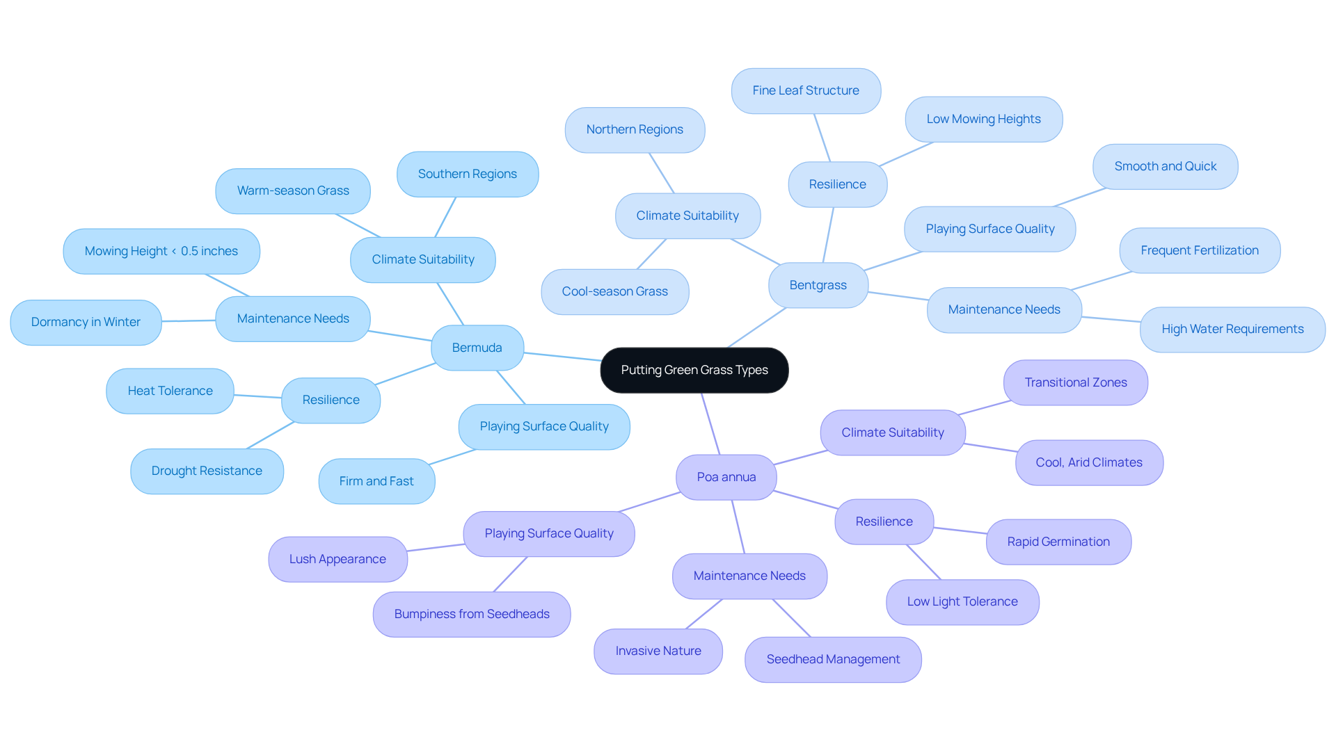 The central node represents the main topic of putting green grasses, while the branches show the different types of grass and their specific features. Each color-coded branch helps you quickly identify the characteristics of each grass type.