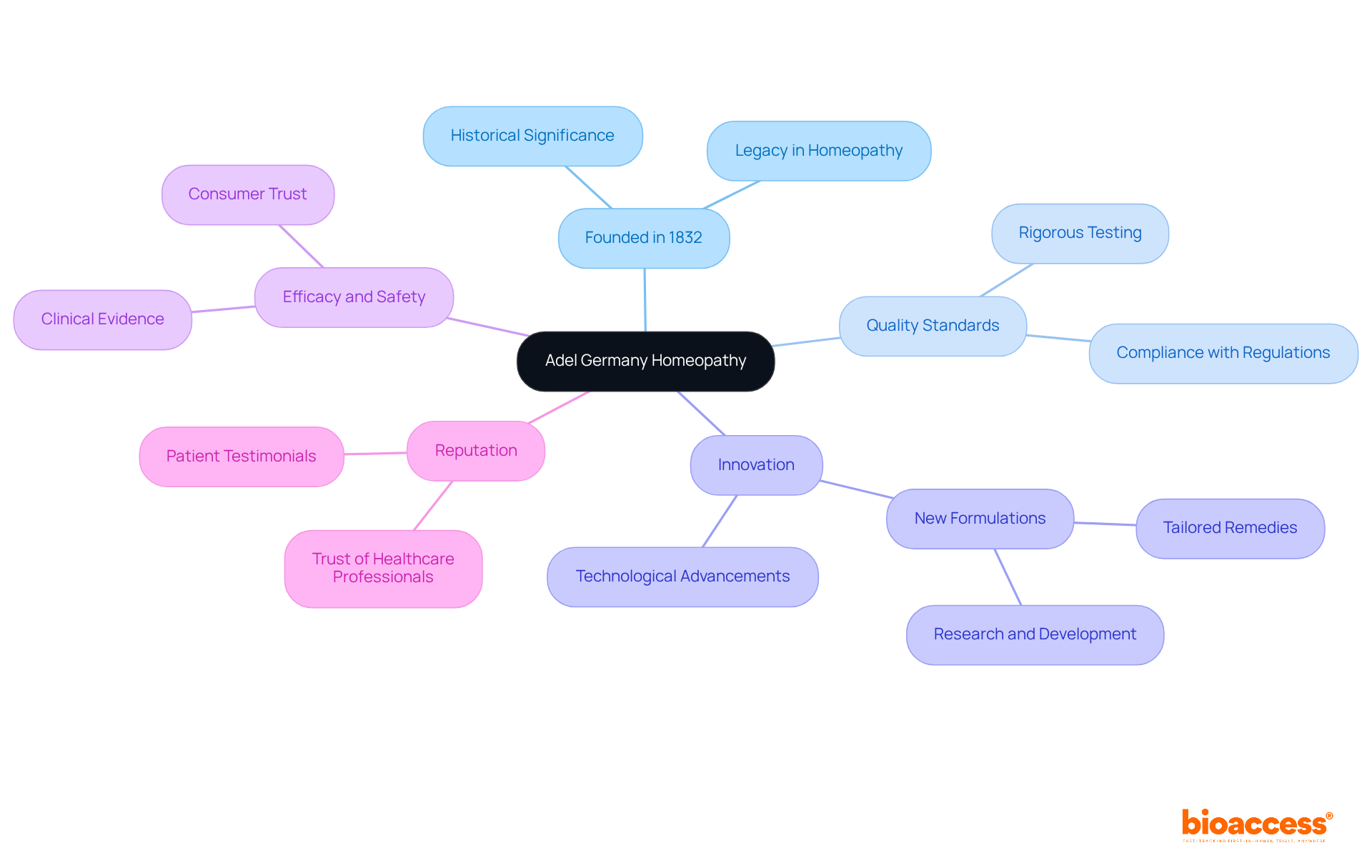 The central node represents the company, while the branches show different aspects of its contributions to homeopathy. Each color-coded branch helps you quickly identify key themes and their relationships.
