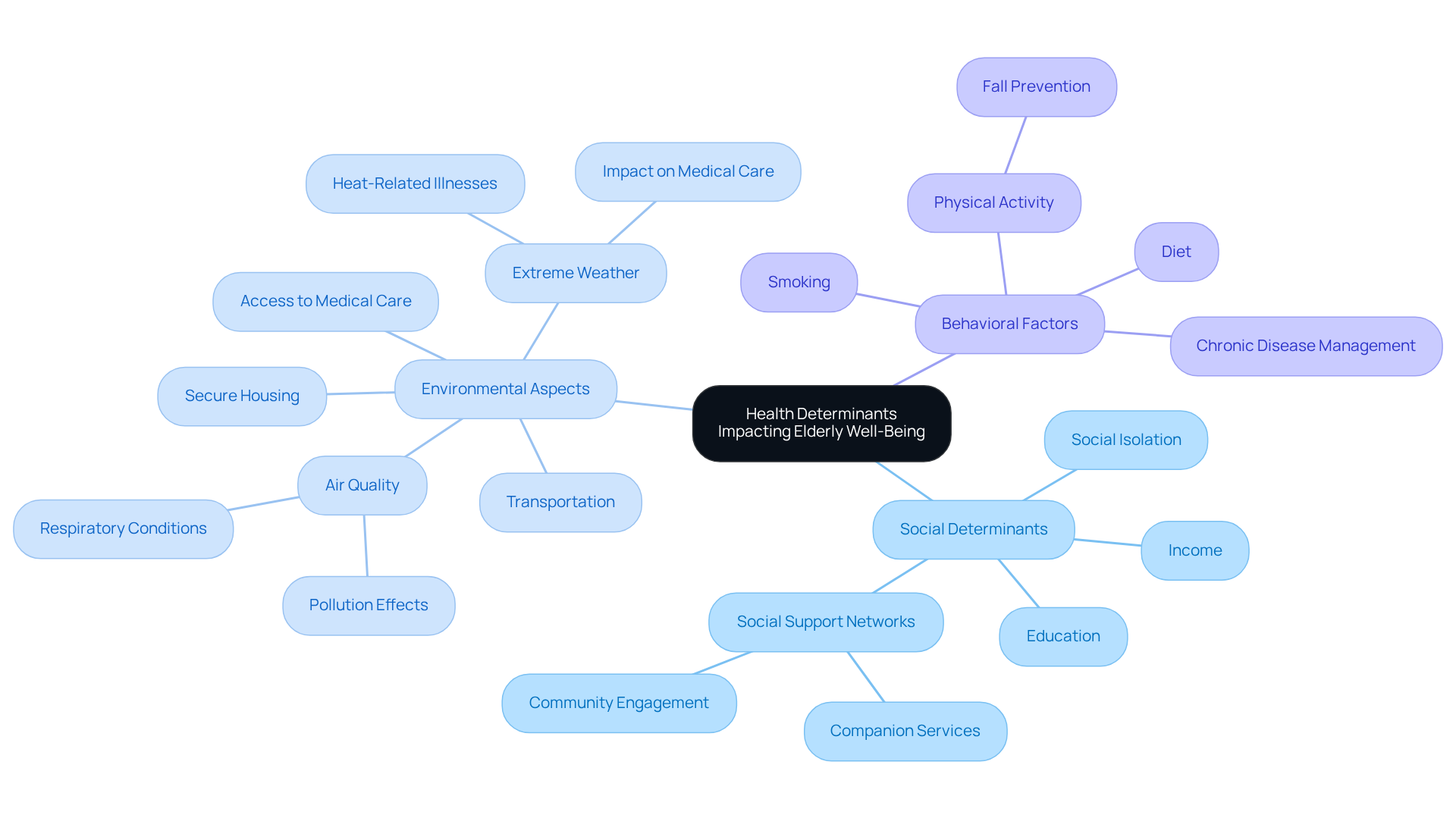 The central node represents the overall theme, while each branch illustrates a major factor influencing health. Sub-branches provide more details about each factor, helping you see how they contribute to the well-being of older adults.