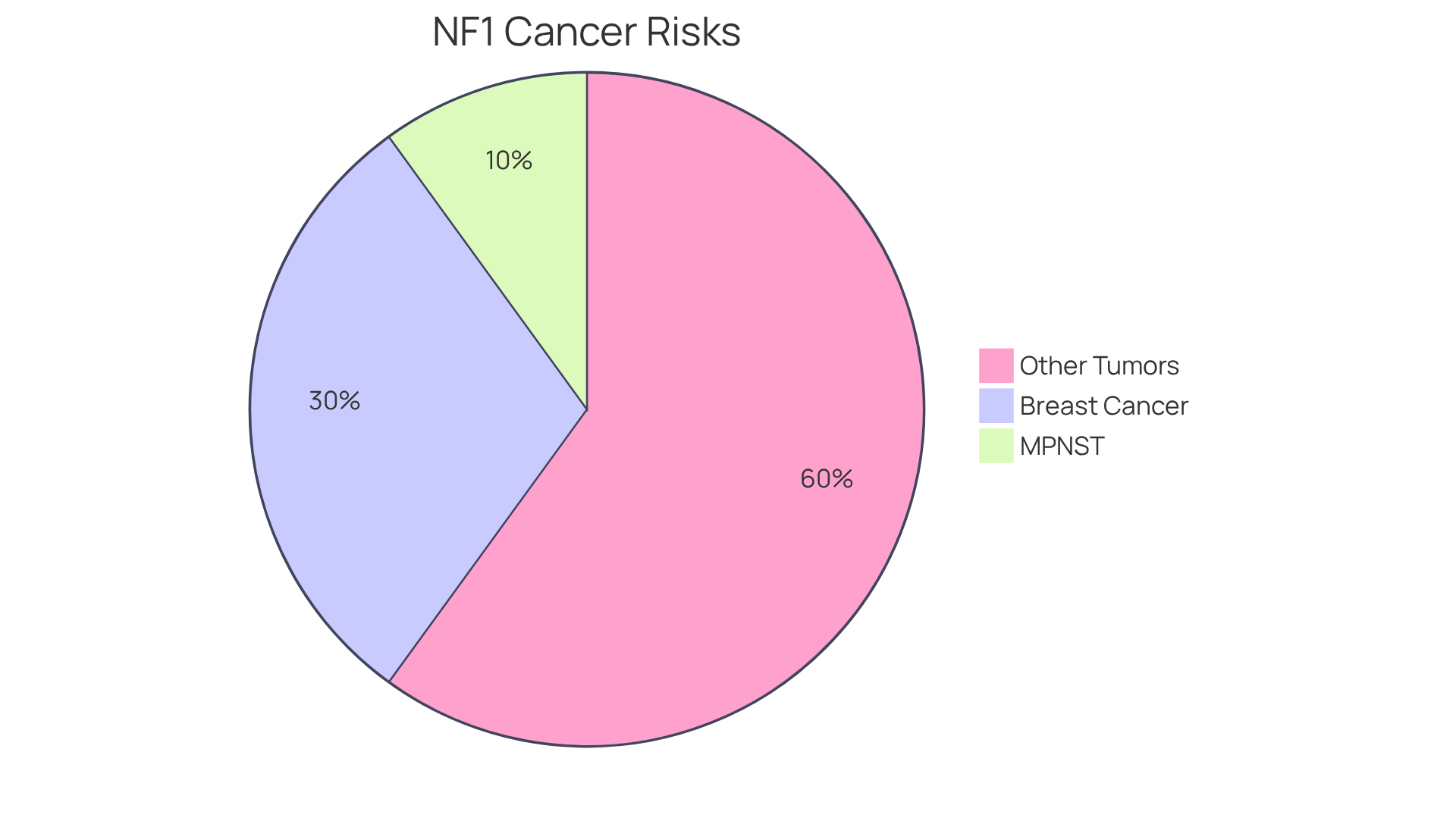 Each slice of the pie shows the likelihood of developing a specific type of cancer for individuals with NF1. The larger the slice, the greater the risk associated with that cancer type.