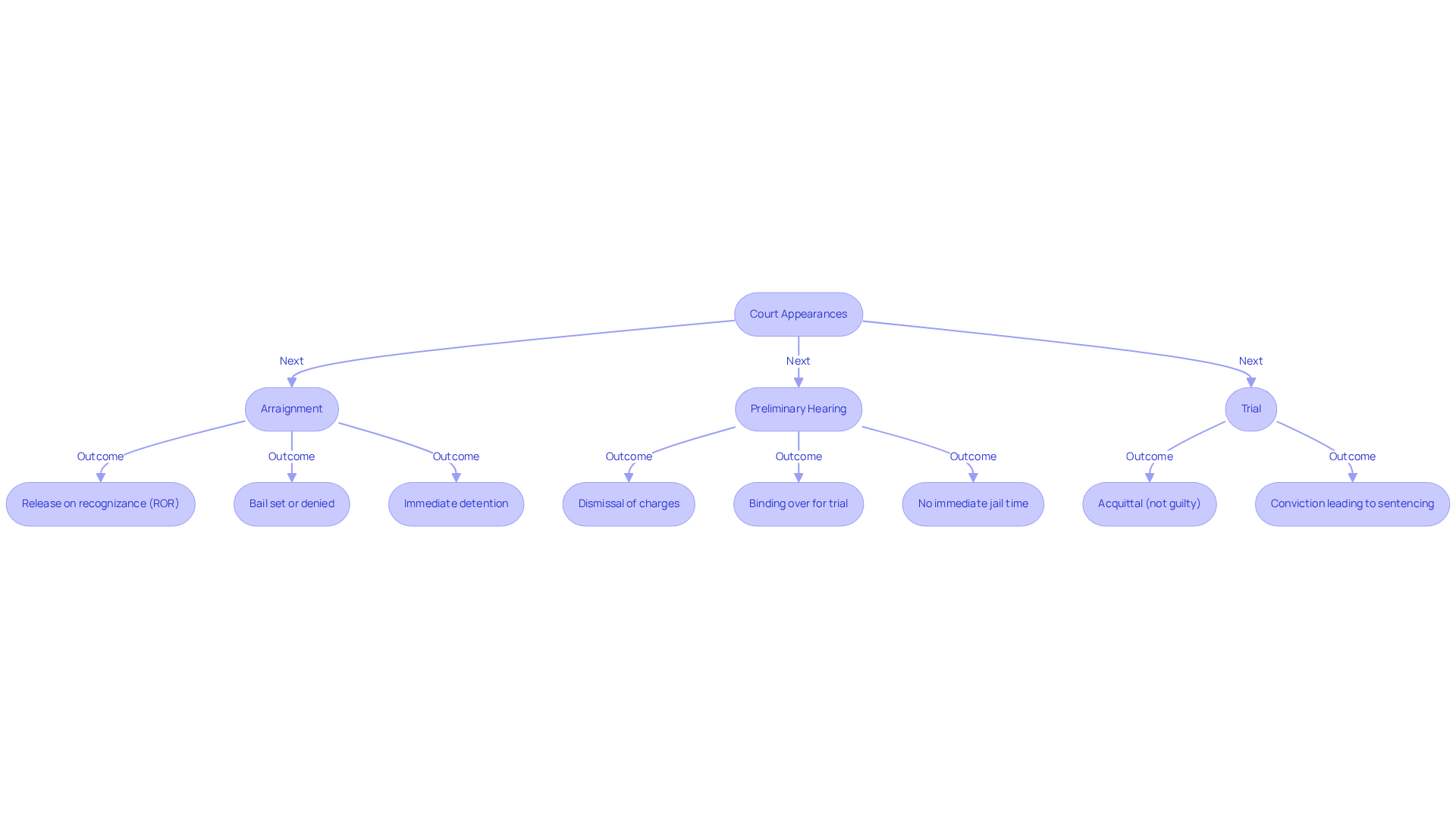 This flowchart shows the different court appearances and their potential outcomes. Start at the top with 'Court Appearances' and follow the branches to see what can happen at each stage. Each box represents a court appearance, and the bullet points inside show the possible results. The arrows guide you through the process, helping you understand how each stage connects.