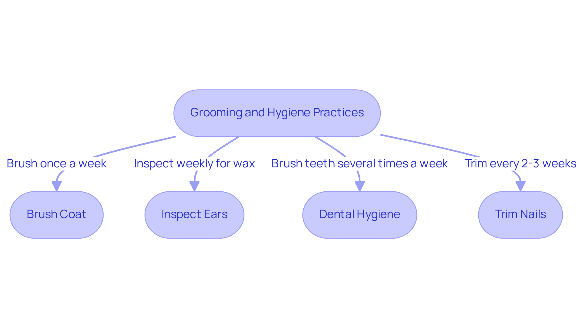 Follow the arrows to see each step in caring for your cat — each box represents an important aspect of grooming, helping you keep your furry friend healthy and happy.
