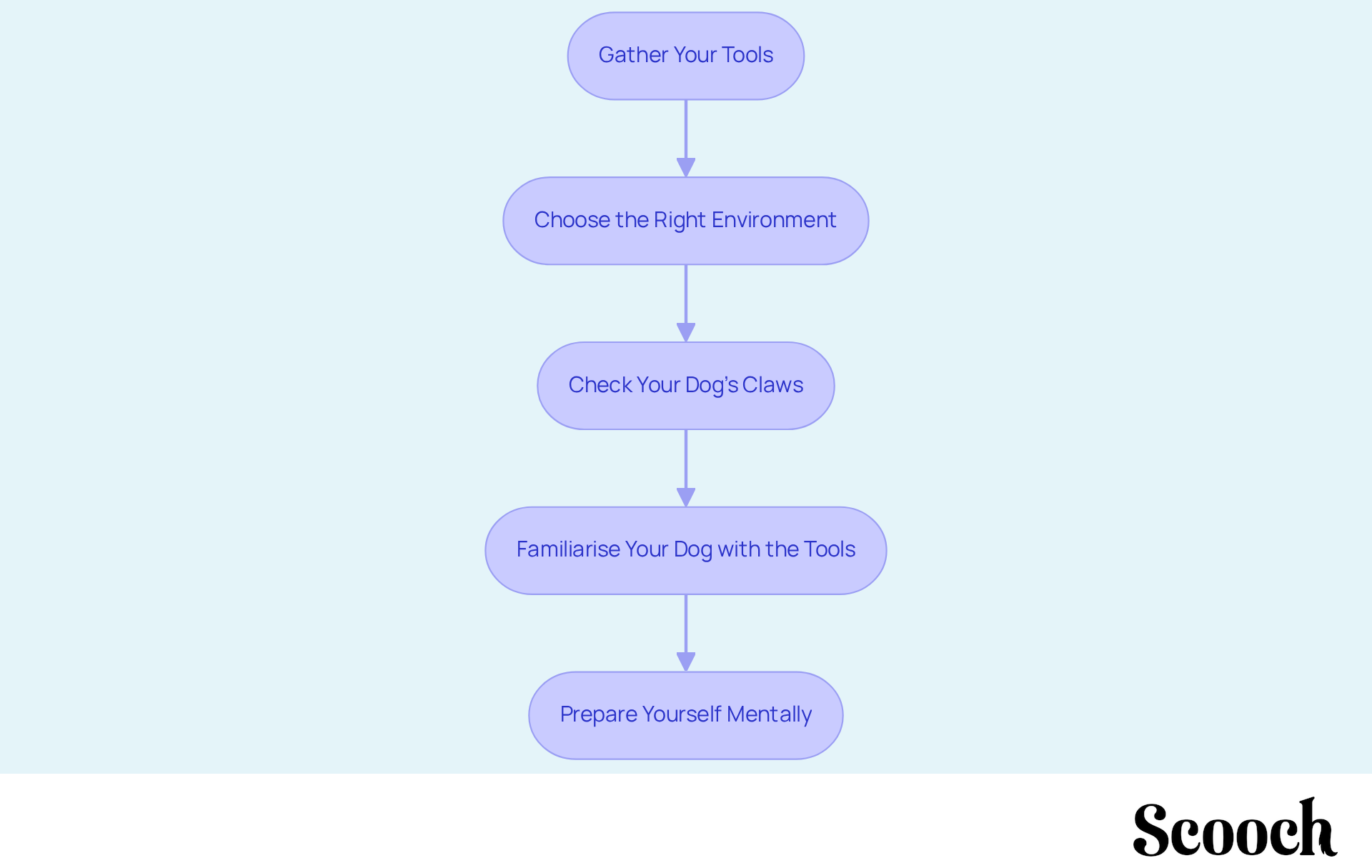 Each box represents a step you should take before trimming your dog's nails. Follow the arrows to see the order of actions that will help make the process smoother and more enjoyable for both you and your dog.