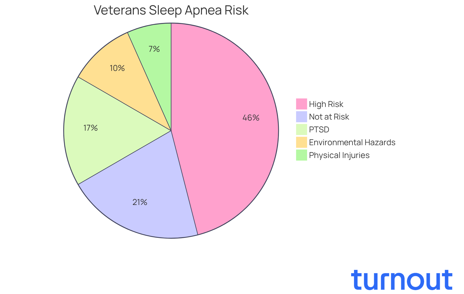 The larger slice shows the percentage of younger veterans at high risk for sleep apnea, while the smaller slice represents those not at risk. The additional segments highlight factors contributing to this risk, helping to understand the broader context.
