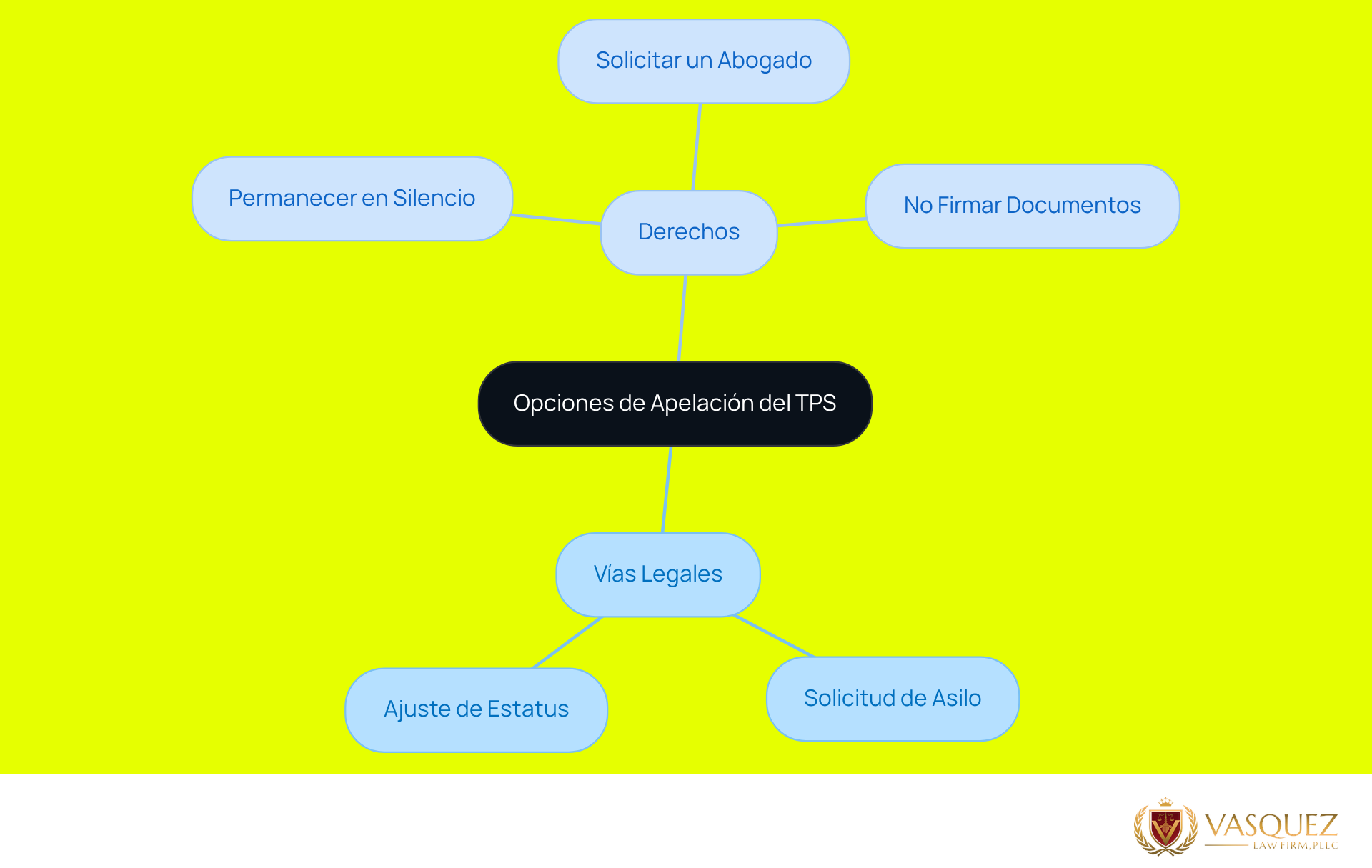 El nodo central representa las opciones de apelación, mientras que las ramas muestran las diferentes vías legales y derechos que tienen los beneficiarios. Cada color ayuda a distinguir entre las categorías de información.