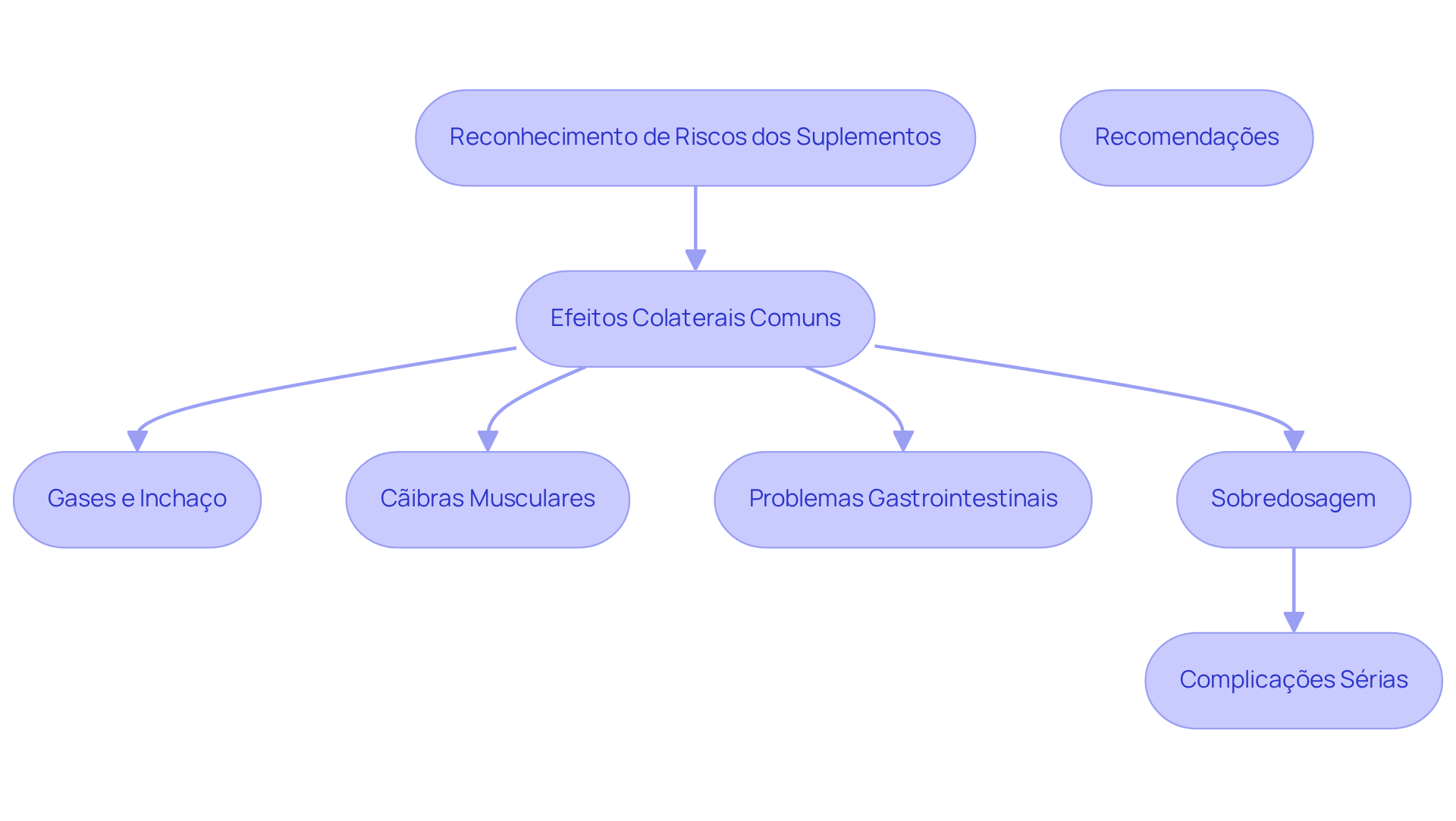 Cada caixa representa um risco ou uma recomendação — siga as setas para entender como esses fatores se conectam e como minimizar os riscos ao usar suplementos. Cada caixa representa um risco ou uma recomendação — siga as setas para entender como esses fatores se conectam e como minimizar os riscos ao usar suplementos.