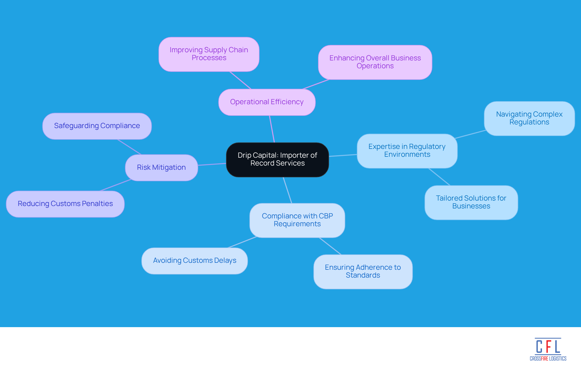 The central node represents Drip Capital's services, while the branches illustrate the key benefits and features that enhance customs management for businesses.