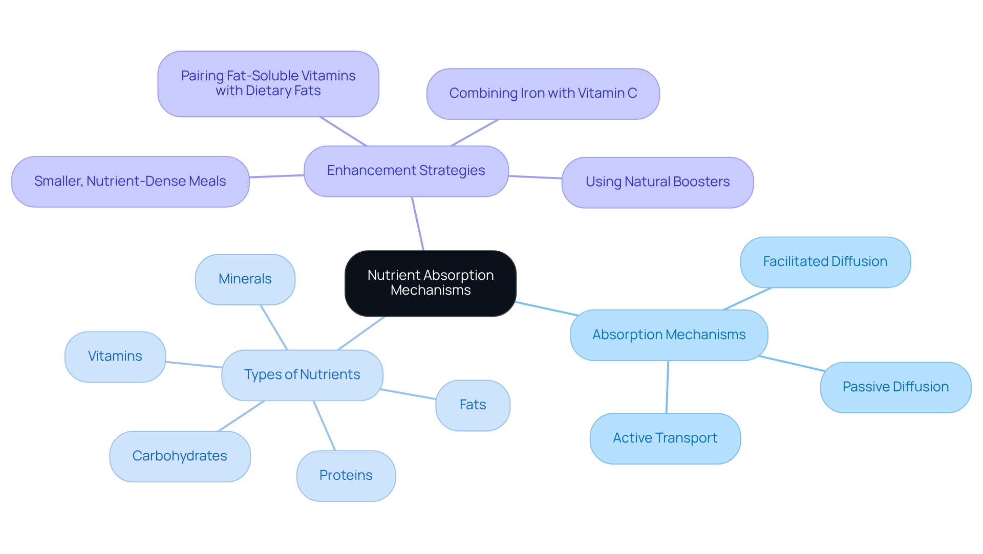 The central node represents the overall topic of nutrient absorption. Each branch shows a different aspect: how nutrients are absorbed, what types of nutrients there are, and strategies to improve absorption. Follow the branches to explore the connections and details.