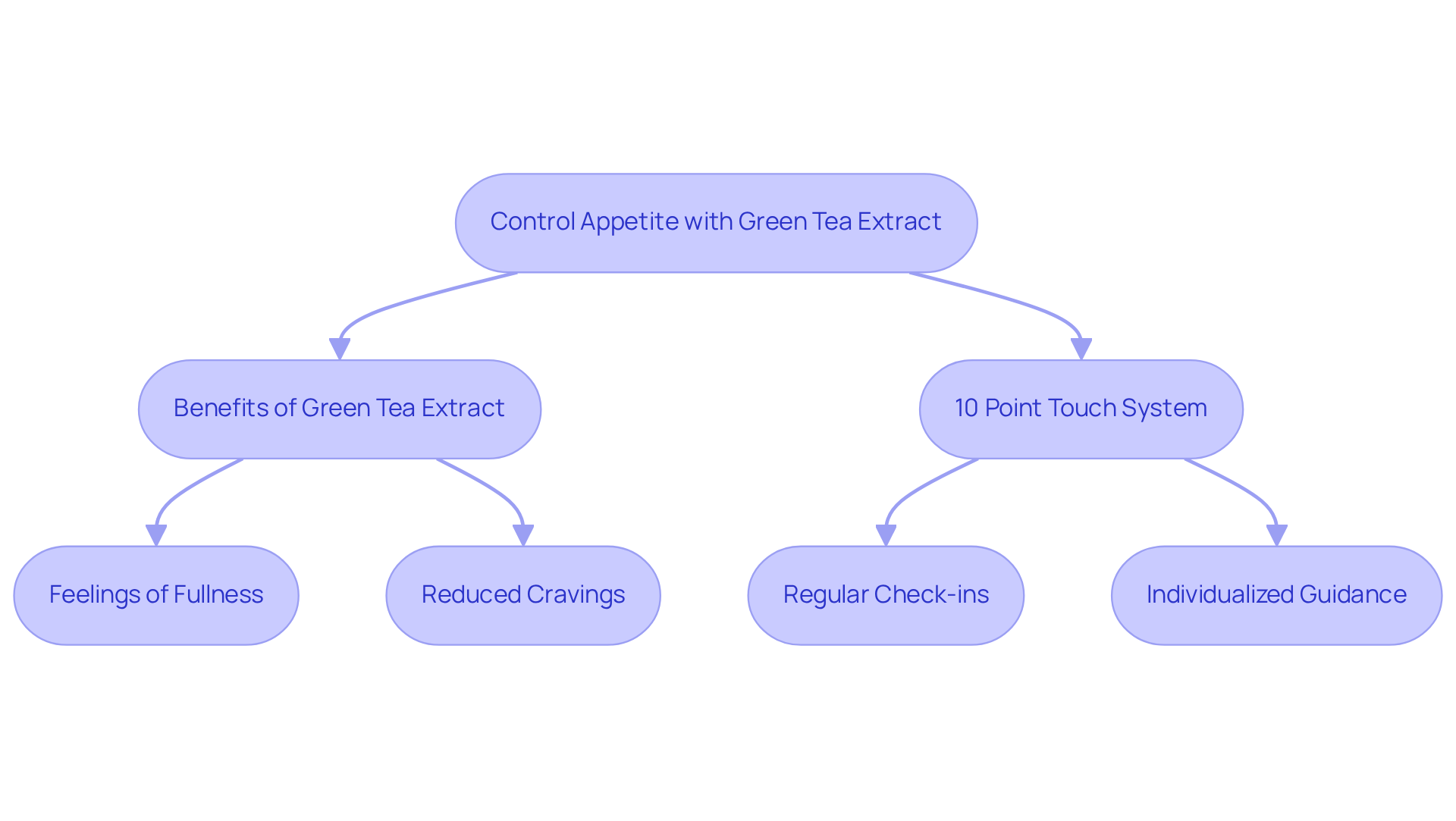Follow the flow from understanding the benefits of green tea to the supportive steps in our program. Each box represents a crucial part of the journey toward appetite control and sustainable weight loss.