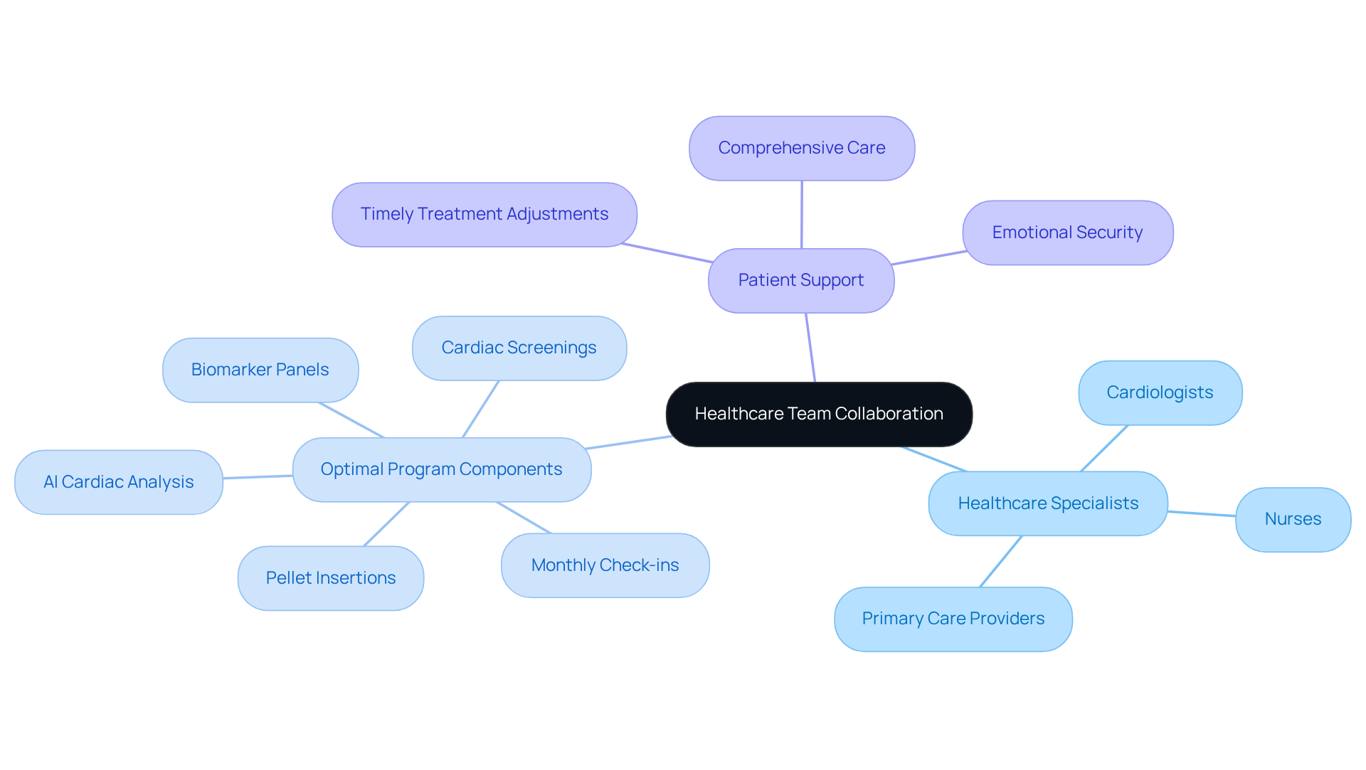 The center represents the collaborative approach to patient care, with branches showing the specialists involved and the different components of the program. Each branch and sub-branch highlights how these elements work together to support patients.