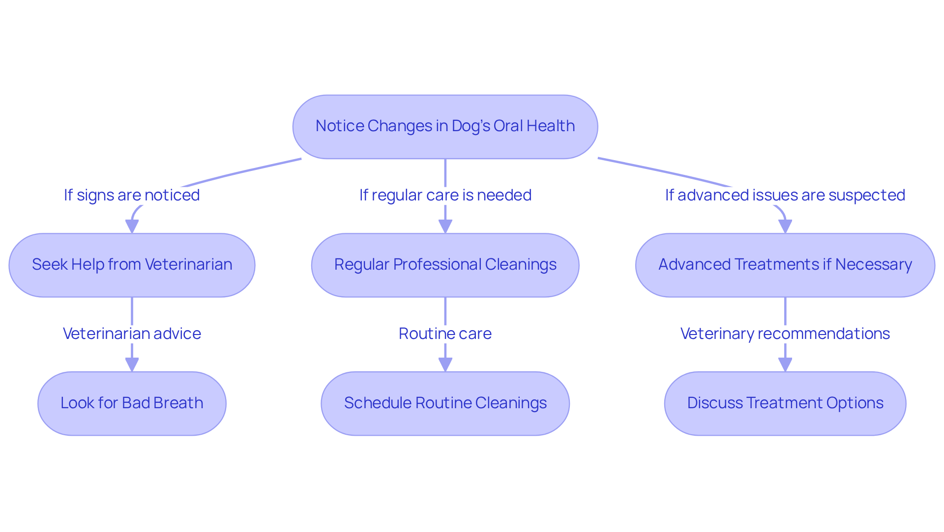 This flowchart guides you through the process of caring for your dog's dental health. Start by noticing any changes, then follow the arrows to see what steps to take next, including when to consult a vet and what treatments might be necessary. This flowchart guides you through the process of caring for your dog's dental health. Start by noticing any changes, then follow the arrows to see what steps to take next, including when to consult a vet and what treatments might be necessary.