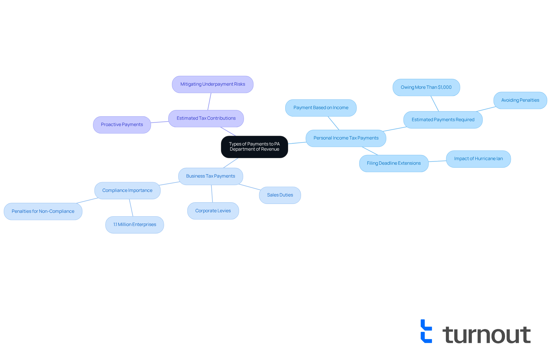 Each branch represents a different category of payment. Explore the main categories and their details to understand your obligations and avoid penalties.