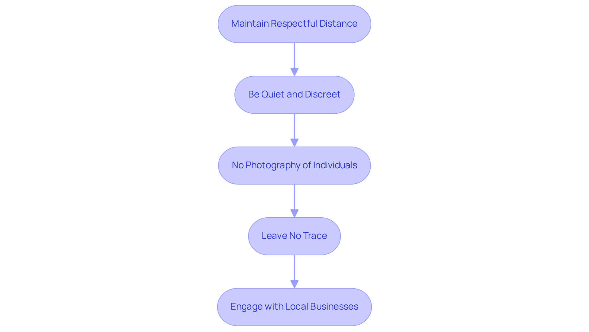 Each box represents a guideline for your visit. Follow the arrows to understand the flow of etiquette - from respecting privacy to engaging with local businesses, each step is important for a positive experience.