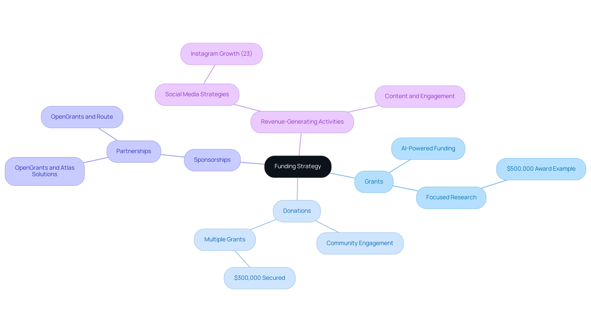 The central node represents the funding strategy, with branches indicating different approaches and sub-branches providing examples or insights related to each approach. The central node represents the funding strategy, with branches indicating different approaches and sub-branches providing examples or insights related to each approach.