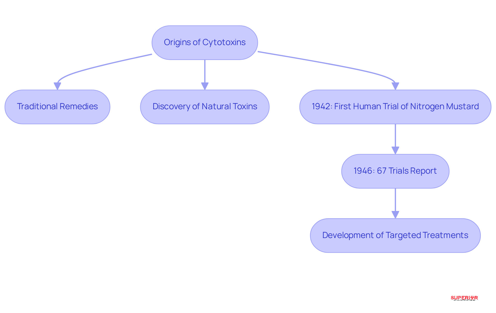 Each box represents a significant milestone in the history of cytotoxins. Follow the arrows to see how each event builds on the previous one, leading to modern cancer therapies. Each box represents a significant milestone in the history of cytotoxins. Follow the arrows to see how each event builds on the previous one, leading to modern cancer therapies.