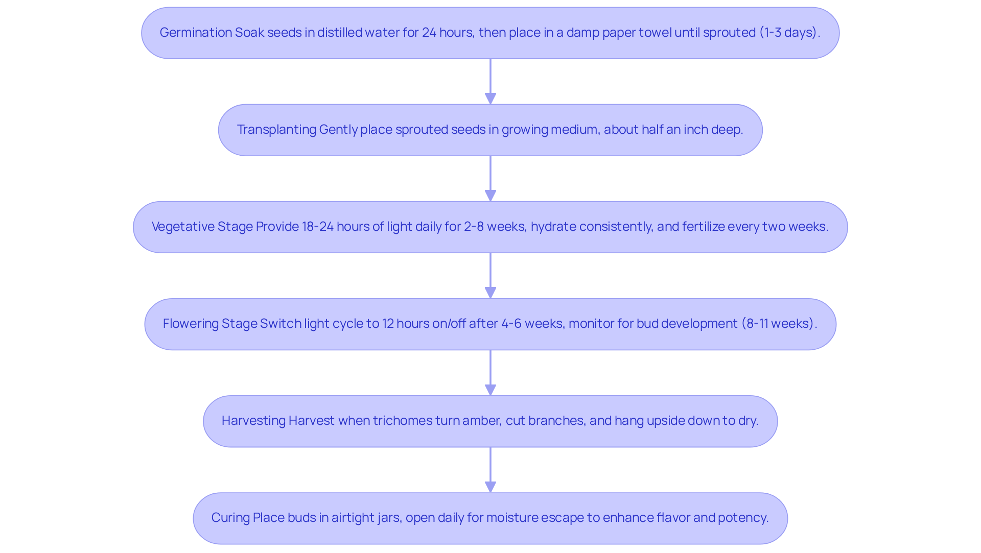 Each box in the flowchart represents a step in the growing process. Follow the arrows to see how to grow Mango Kush from germination to curing, ensuring you understand what to do at each stage. Each box in the flowchart represents a step in the growing process. Follow the arrows to see how to grow Mango Kush from germination to curing, ensuring you understand what to do at each stage.