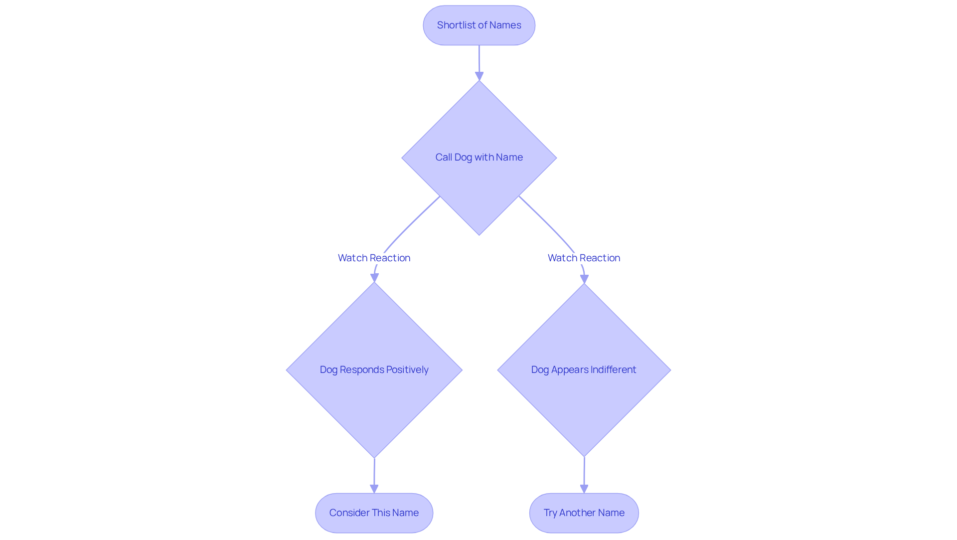 Follow the steps to see how your dog reacts to each name. If they respond positively, you might have found the right one! If not, keep trying until you find a name they love.