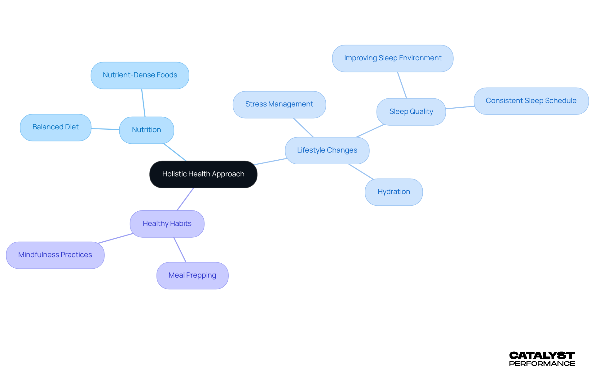 The central idea is the holistic health approach, with branches showing how nutrition, lifestyle changes, and healthy habits contribute to your fitness journey. Each branch highlights specific actions or concepts that support your overall wellness.
