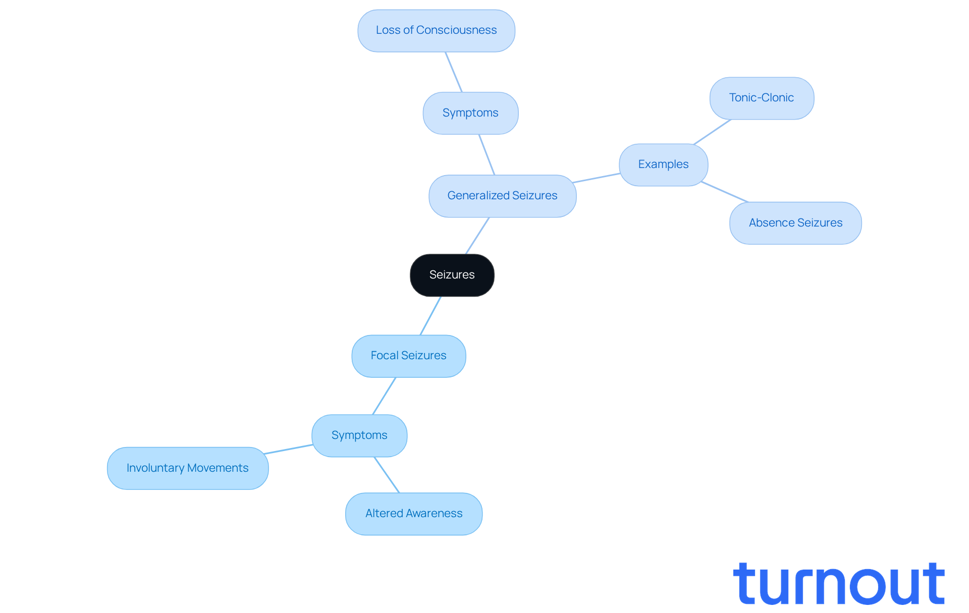 The central node represents seizures, with branches showing the two main types. Each sub-branch details specific symptoms or examples, helping you understand the differences and implications for disability.