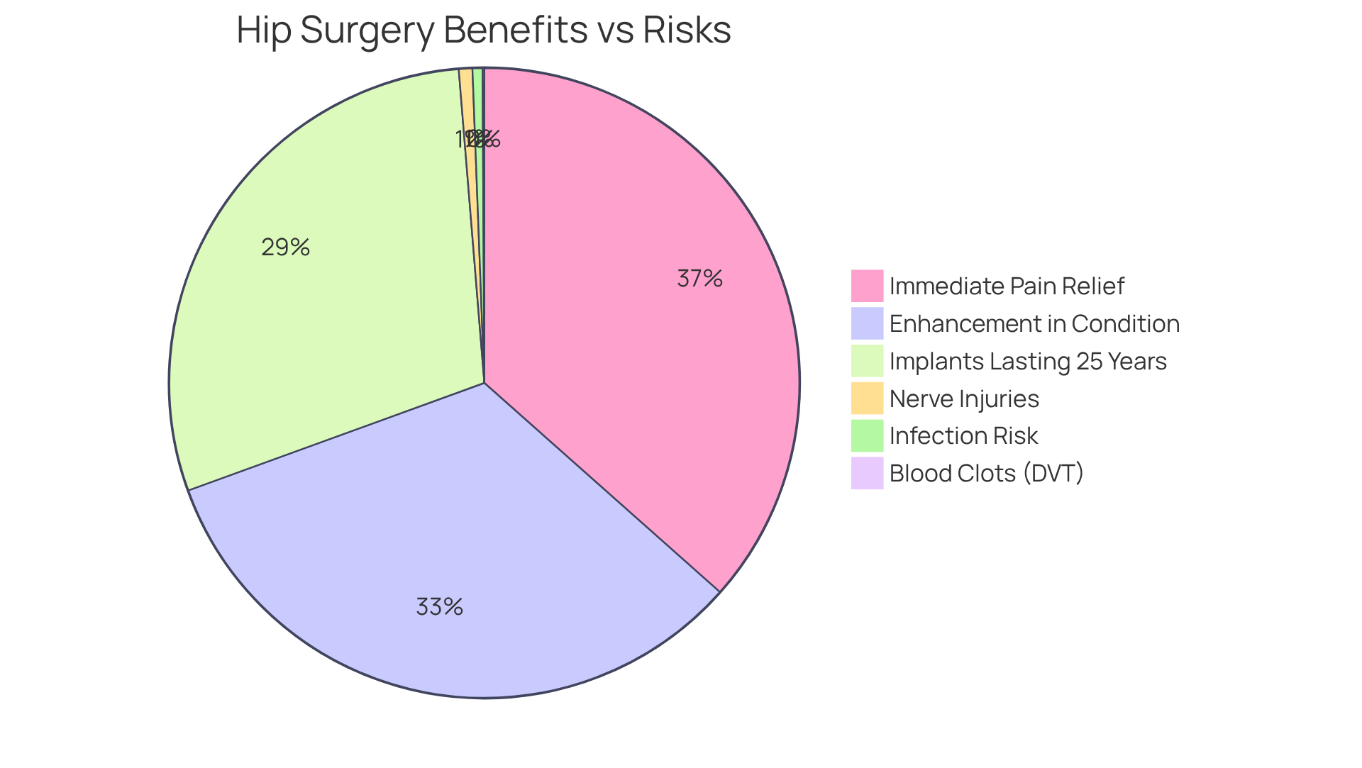 This pie chart shows the benefits and risks of hip surgery. The green slices represent the positive outcomes, like improved condition and long-lasting implants, while the red slices highlight the potential risks, such as infections and nerve injuries. The size of each slice indicates how significant each factor is in the overall evaluation. This pie chart shows the benefits and risks of hip surgery. The green slices represent the positive outcomes, like improved condition and long-lasting implants, while the red slices highlight the potential risks, such as infections and nerve injuries. The size of each slice indicates how significant each factor is in the overall evaluation.
