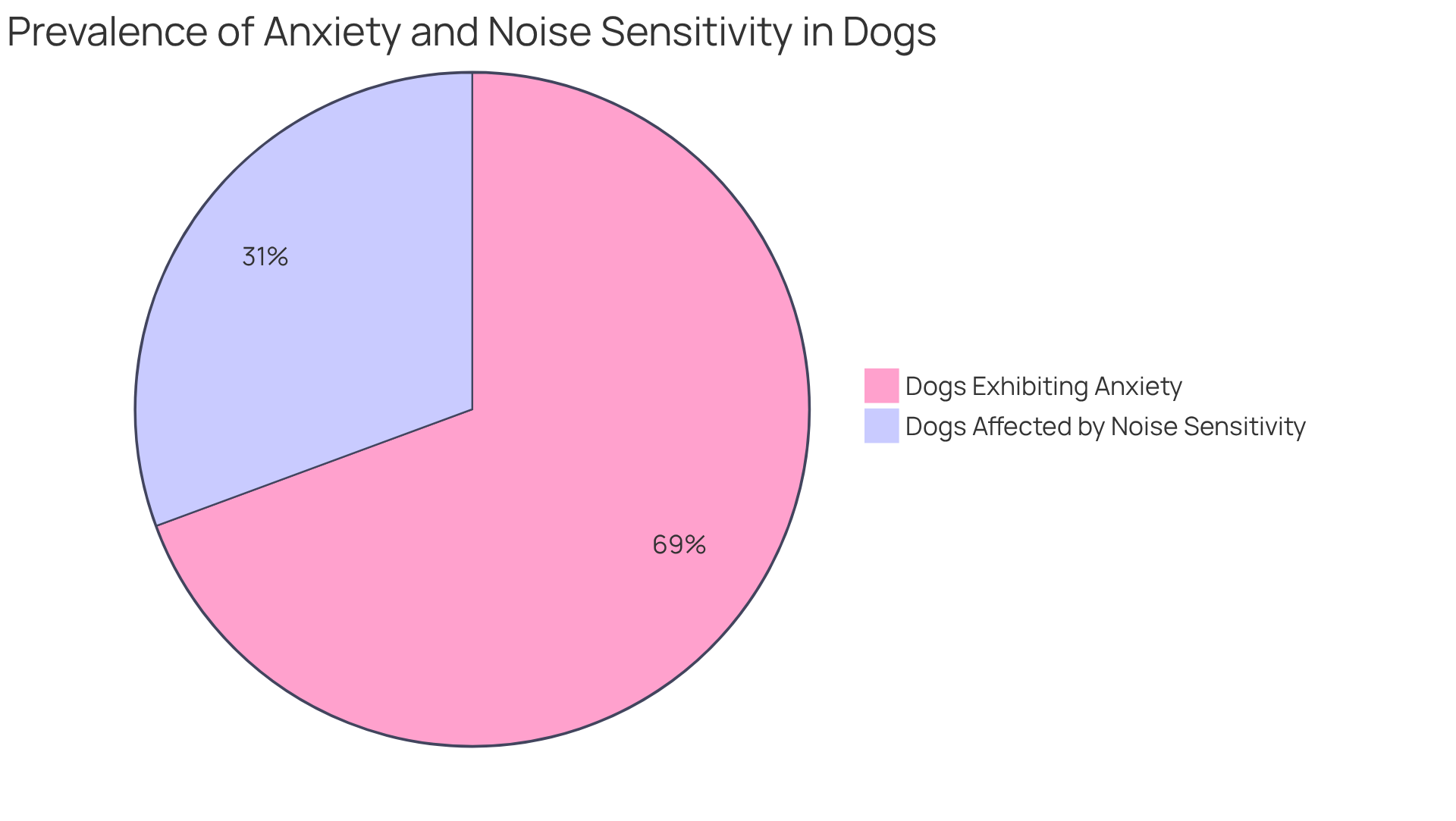 The blue slice shows the percentage of dogs experiencing anxiety, while the orange slice illustrates those affected by noise sensitivity. This chart highlights the importance of solutions like the calming bed. The blue slice shows the percentage of dogs experiencing anxiety, while the orange slice illustrates those affected by noise sensitivity. This chart highlights the importance of solutions like the calming bed.