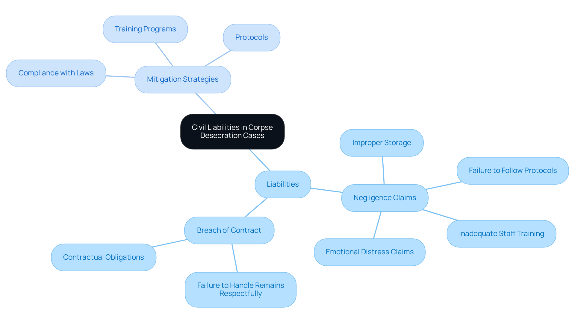 The center of the mindmap shows the main topic of civil liabilities. The branches represent different types of liabilities and strategies to mitigate risks. Each branch breaks down into more specific points, helping you see how everything connects.