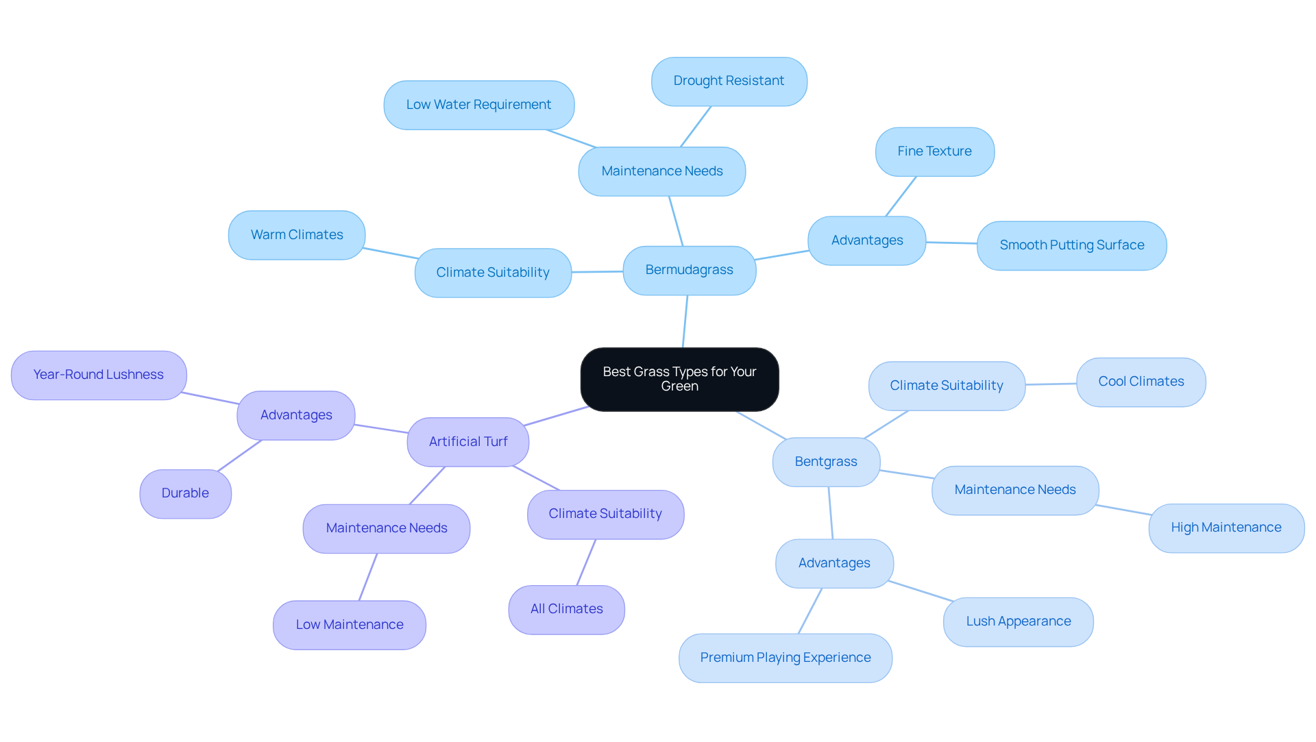 The central node represents the main topic, while the branches show different grass types. Each sub-branch highlights specific characteristics, helping you understand which grass might be best for your needs.