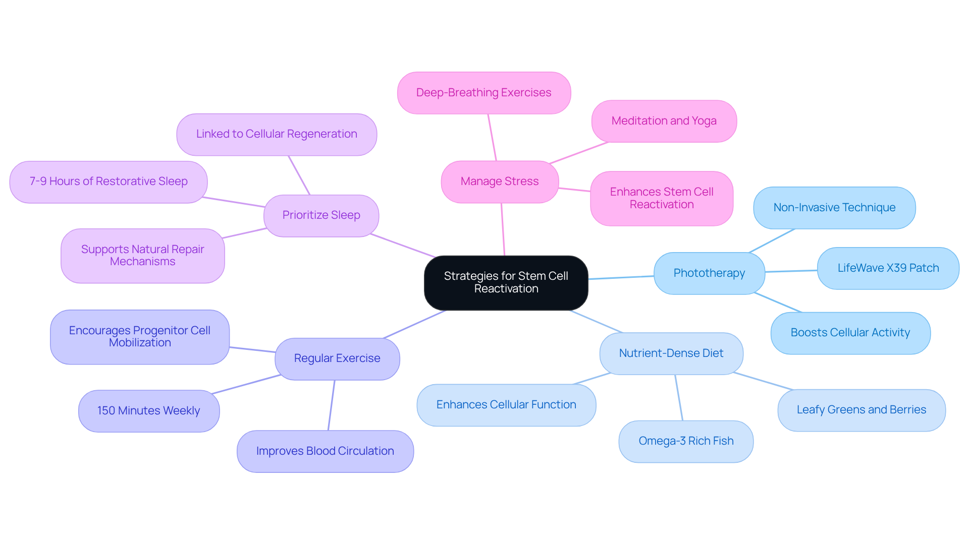 This mindmap shows various strategies to enhance your wellness through stem cell reactivation. Start at the center with the main theme, then follow the branches to explore each strategy and its benefits. Each color represents a different strategy, making it easy to see how they connect to your overall health.