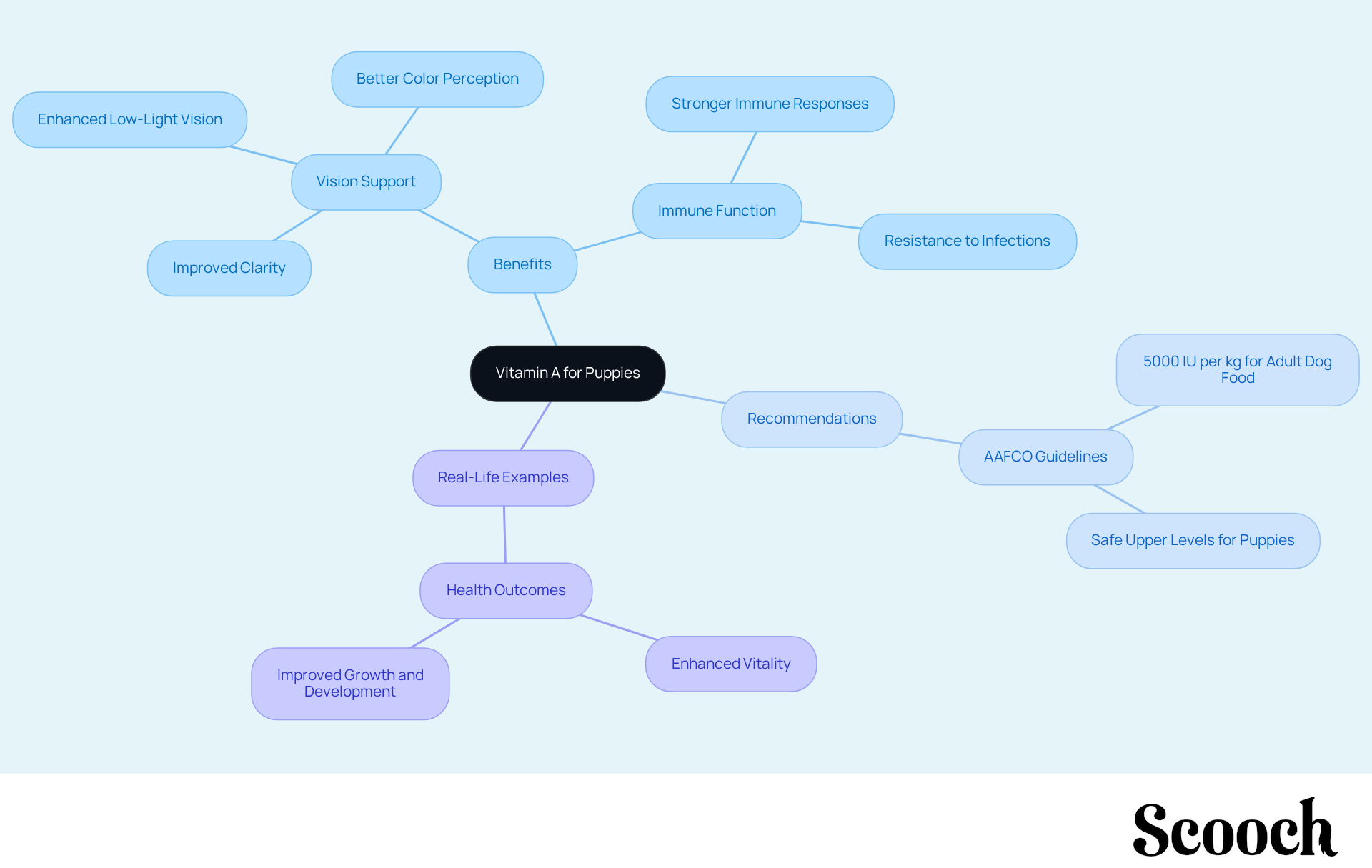The central node represents Vitamin A, while branches show its benefits, guidelines for intake, and examples of its positive effects on puppy health. Follow the branches to understand how this vitamin supports your puppy's well-being. The central node represents Vitamin A, while branches show its benefits, guidelines for intake, and examples of its positive effects on puppy health. Follow the branches to understand how this vitamin supports your puppy's well-being.