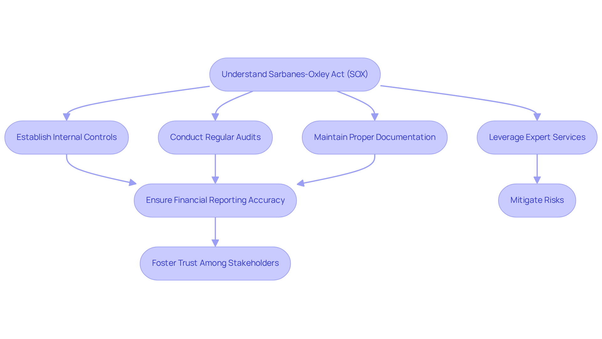 Follow the arrows to see the steps needed for compliance with SOX. Each box represents a key action that IT directors in the medical field should take to ensure financial reporting accuracy and security. Follow the arrows to see the steps needed for compliance with SOX. Each box represents a key action that IT directors in the medical field should take to ensure financial reporting accuracy and security.