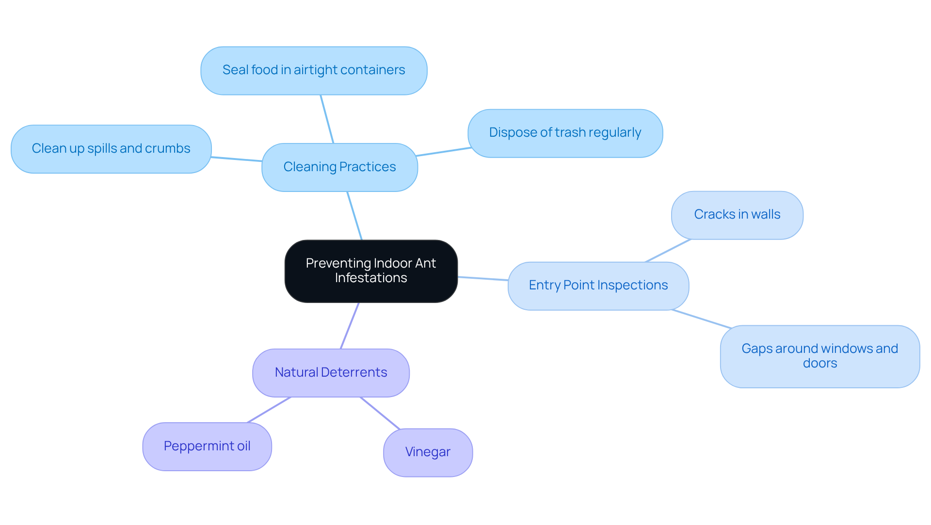 The central idea is about preventing ant infestations. Each branch represents a category of actions or considerations, and the sub-branches detail specific steps you can take to keep your home ant-free.