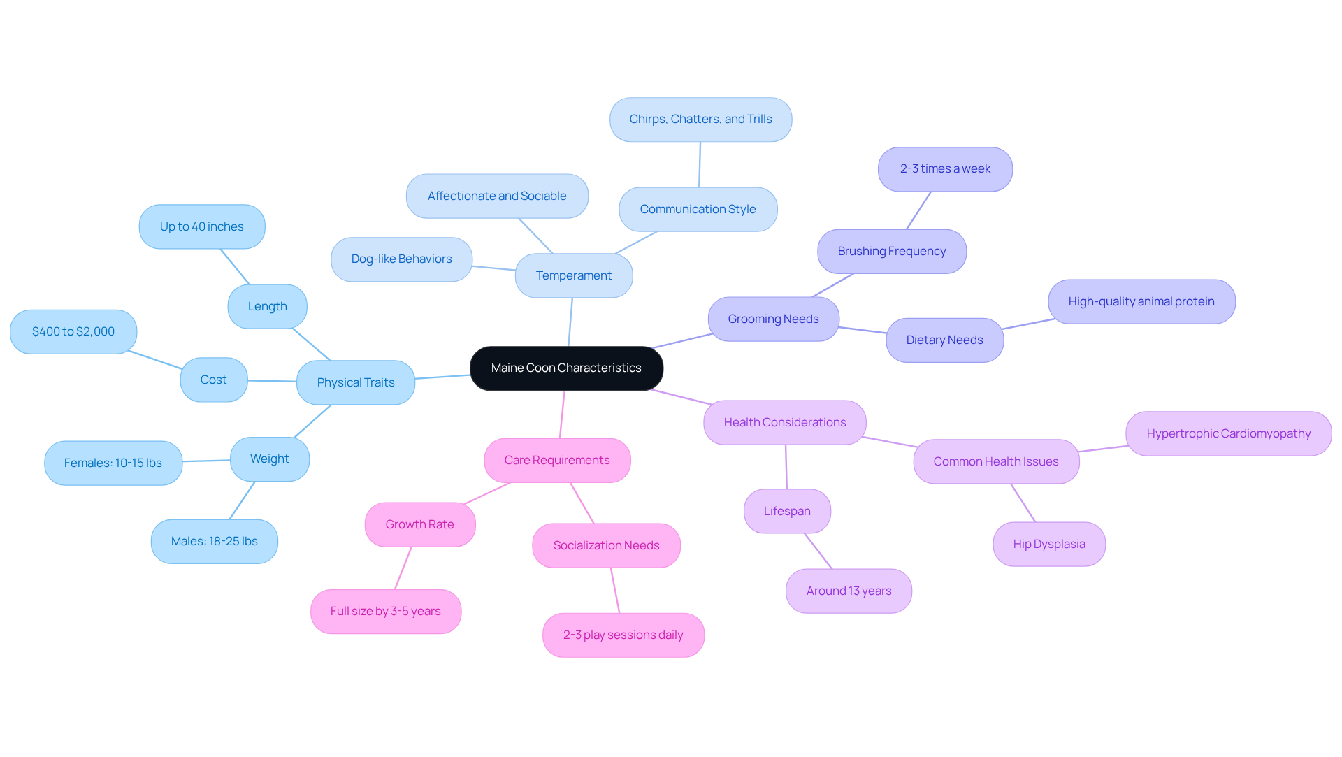 Each branch represents a different aspect of the Maine Coon cat, helping you understand their unique qualities and care needs at a glance. Each branch represents a different aspect of the Maine Coon cat, helping you understand their unique qualities and care needs at a glance.