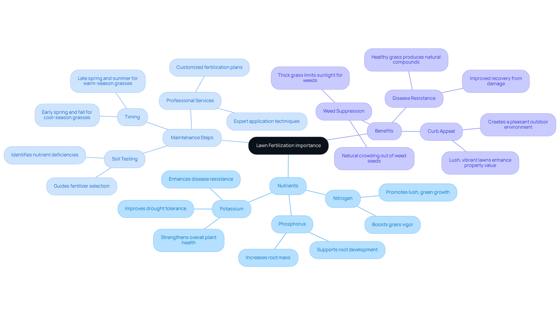 The central node represents the overall importance of fertilization. Each branch shows key nutrients and their roles, steps for maintaining a healthy lawn, and the benefits of proper fertilization. Follow the branches to see how everything connects!