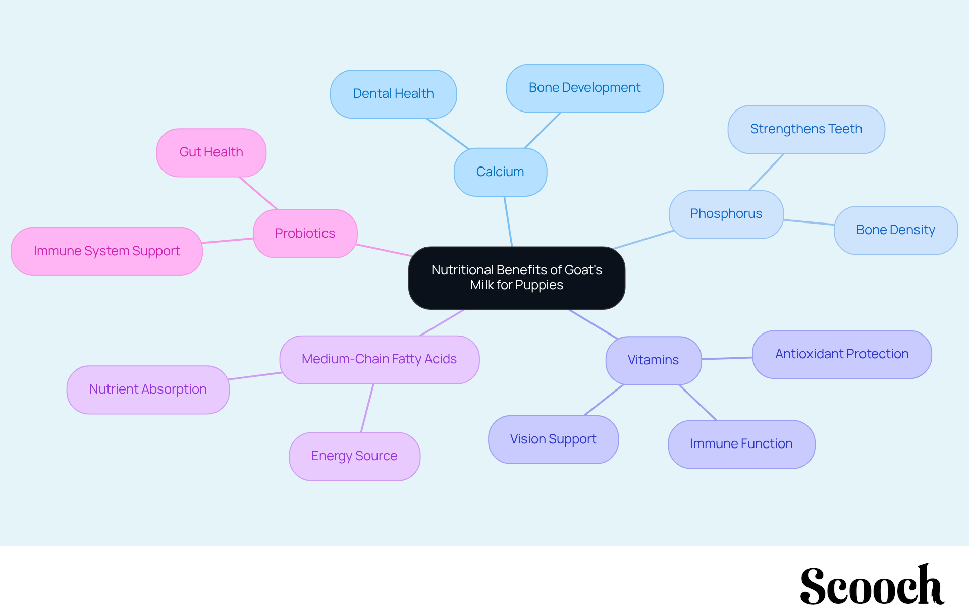 The central node represents the main topic, while the branches show different nutrients and their benefits. Each color-coded branch helps you quickly identify how each nutrient supports your puppy's health. The central node represents the main topic, while the branches show different nutrients and their benefits. Each color-coded branch helps you quickly identify how each nutrient supports your puppy's health.
