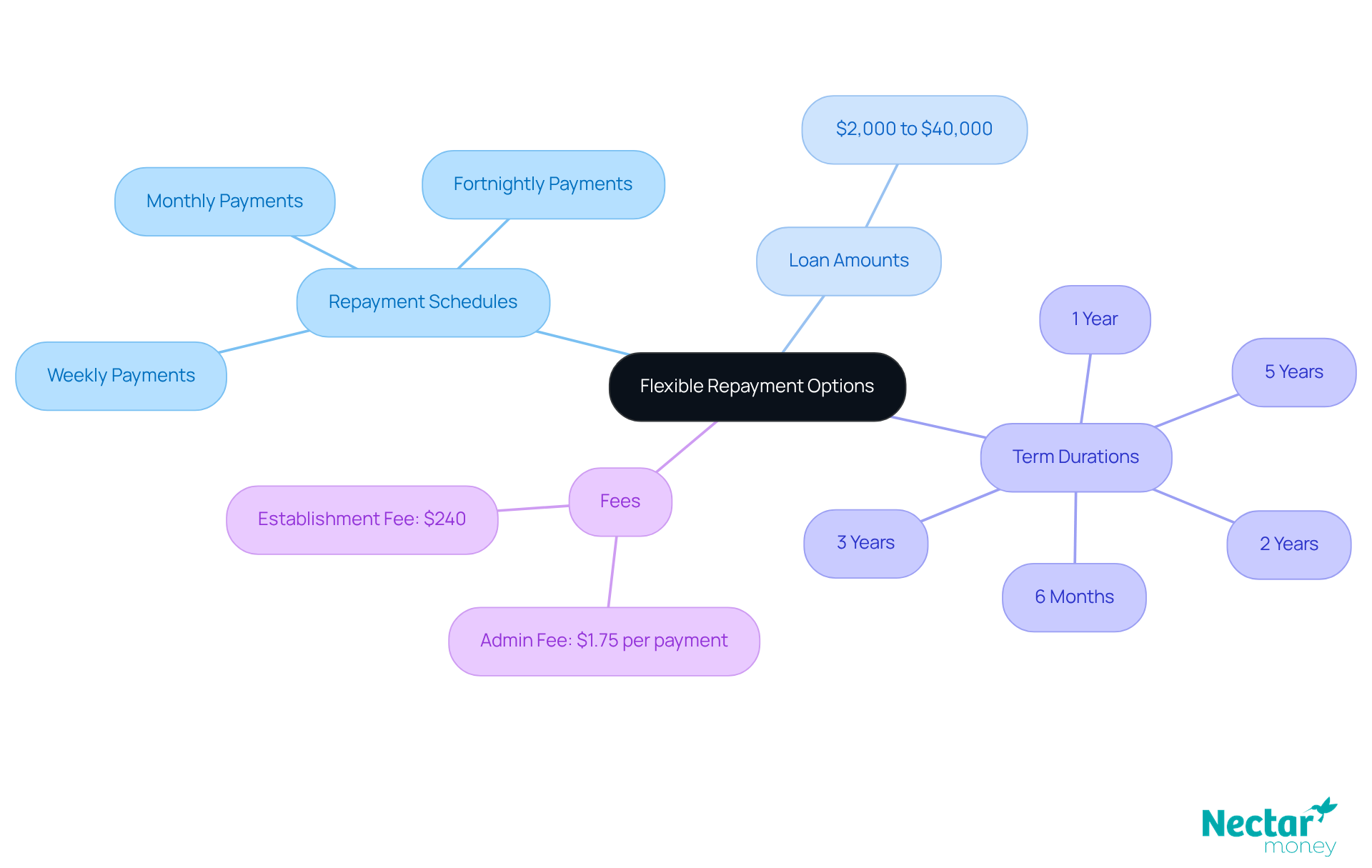 Begin at the center with 'Flexible Repayment Options', then follow the branches to see how various terms and fees relate to this concept, making it easier to understand the choices available.