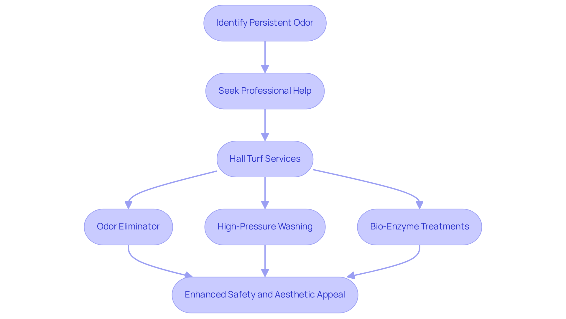 This flowchart guides you through the steps to take when dealing with persistent odors in synthetic grass. Start by identifying the odor, then seek professional help, and see the various services that can restore your grass's condition and safety.