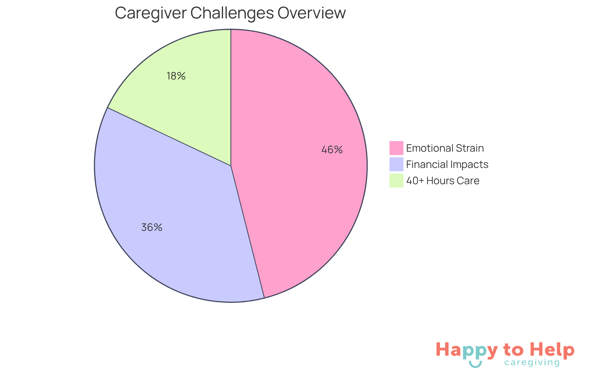 Each slice of the pie shows the percentage of caregivers dealing with specific challenges - the larger the slice, the more caregivers are affected by that issue.