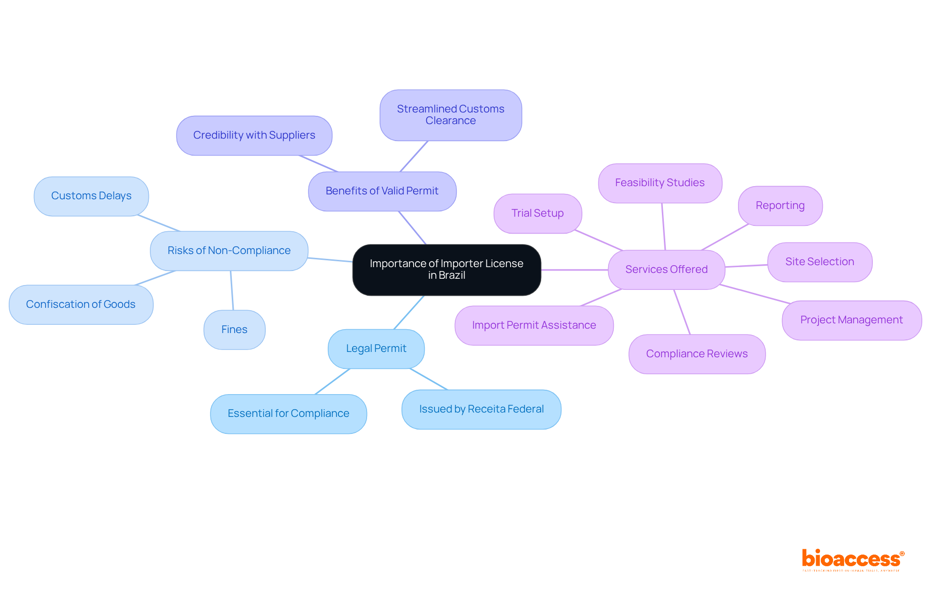 The central node represents the main topic, while the branches show related aspects. Each color-coded branch helps you see how different elements connect to the importance of having an importer license.