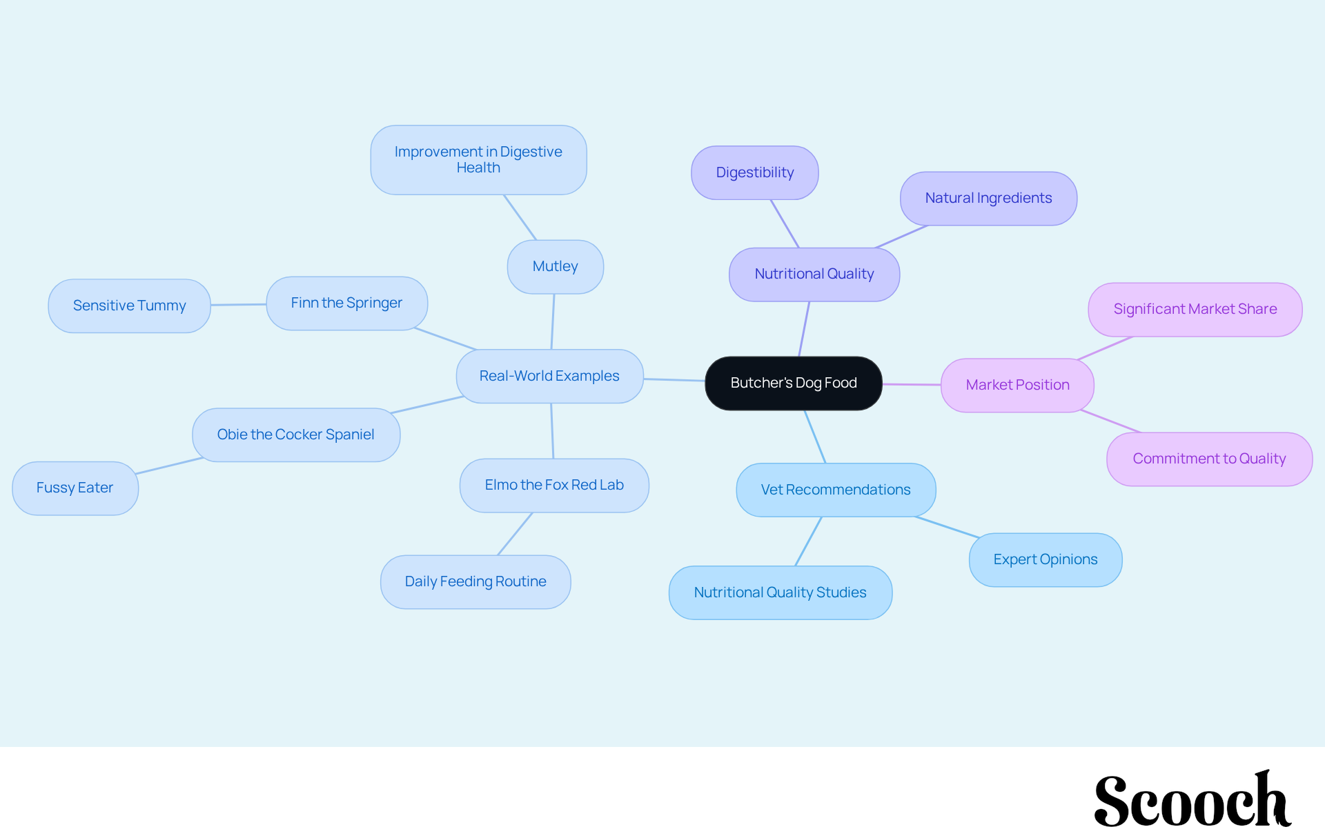 The center represents Butcher's dog food, with branches showing different aspects like vet recommendations and real-life success stories. Each branch helps you understand why Butcher's is a trusted choice for dog owners.