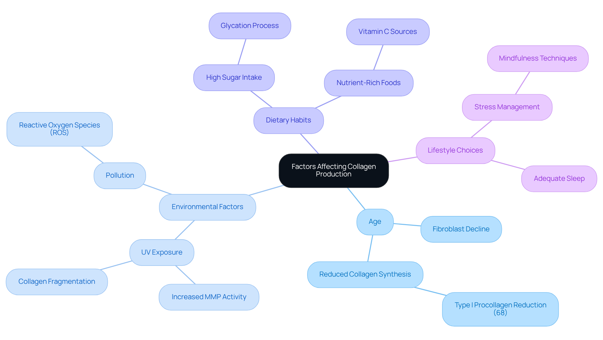 The central node represents the main topic, while the branches show different factors that affect collagen production. Each sub-branch provides specific details about how these factors influence skin health.